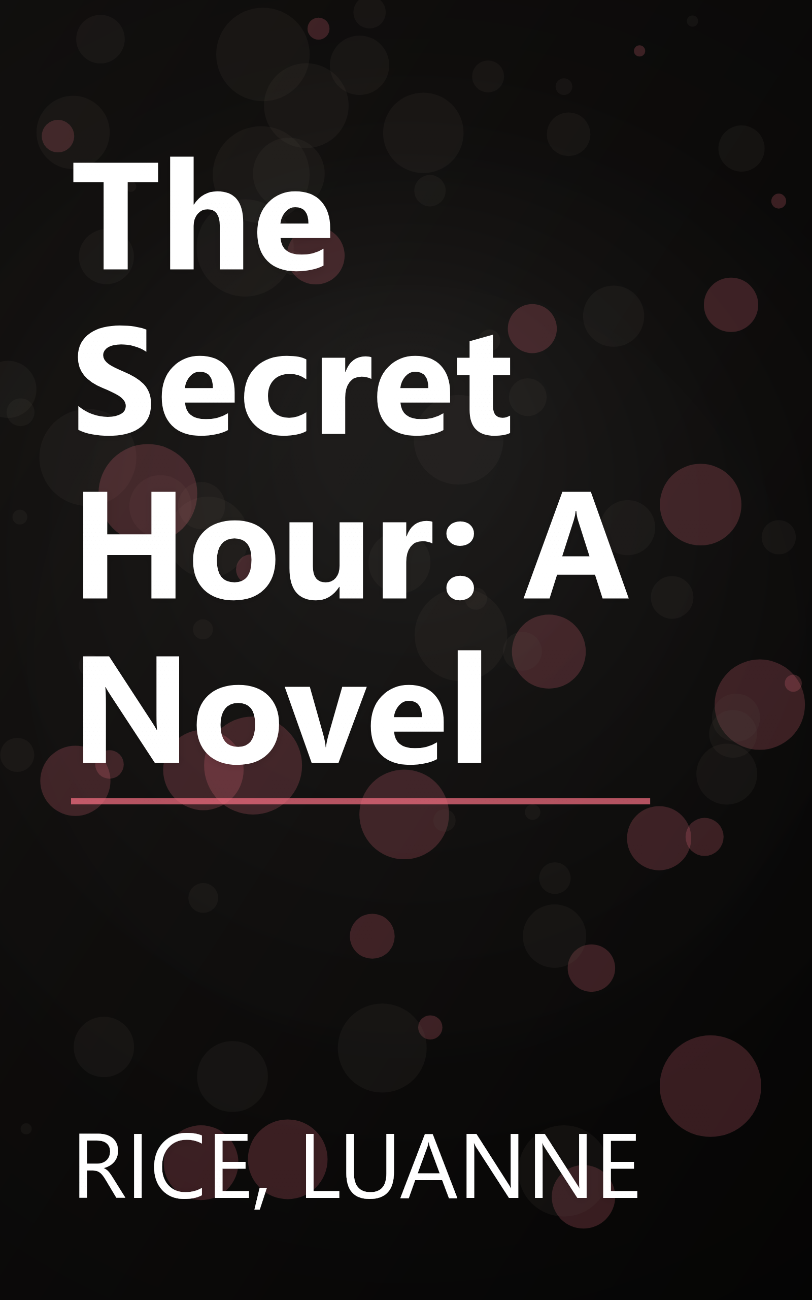 The Secret Hour: A Novel book cover