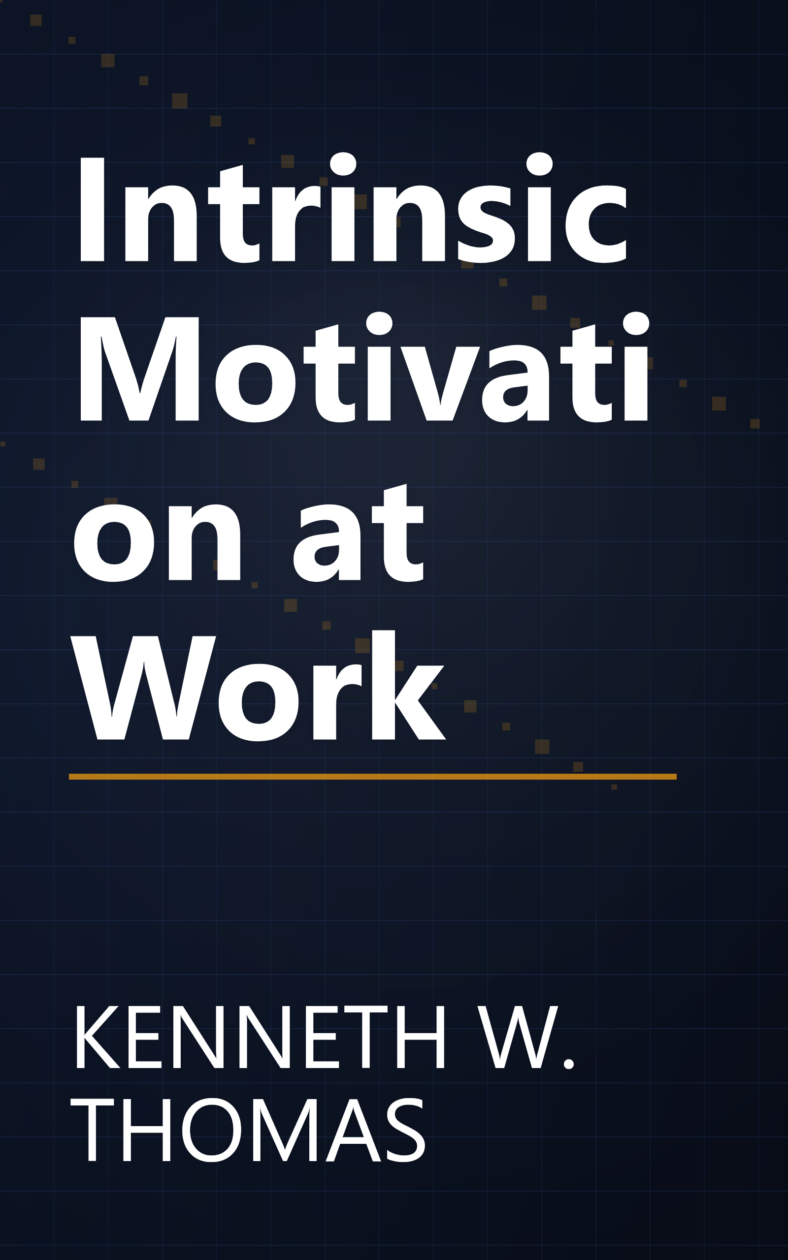 Intrinsic Motivation at Work book cover