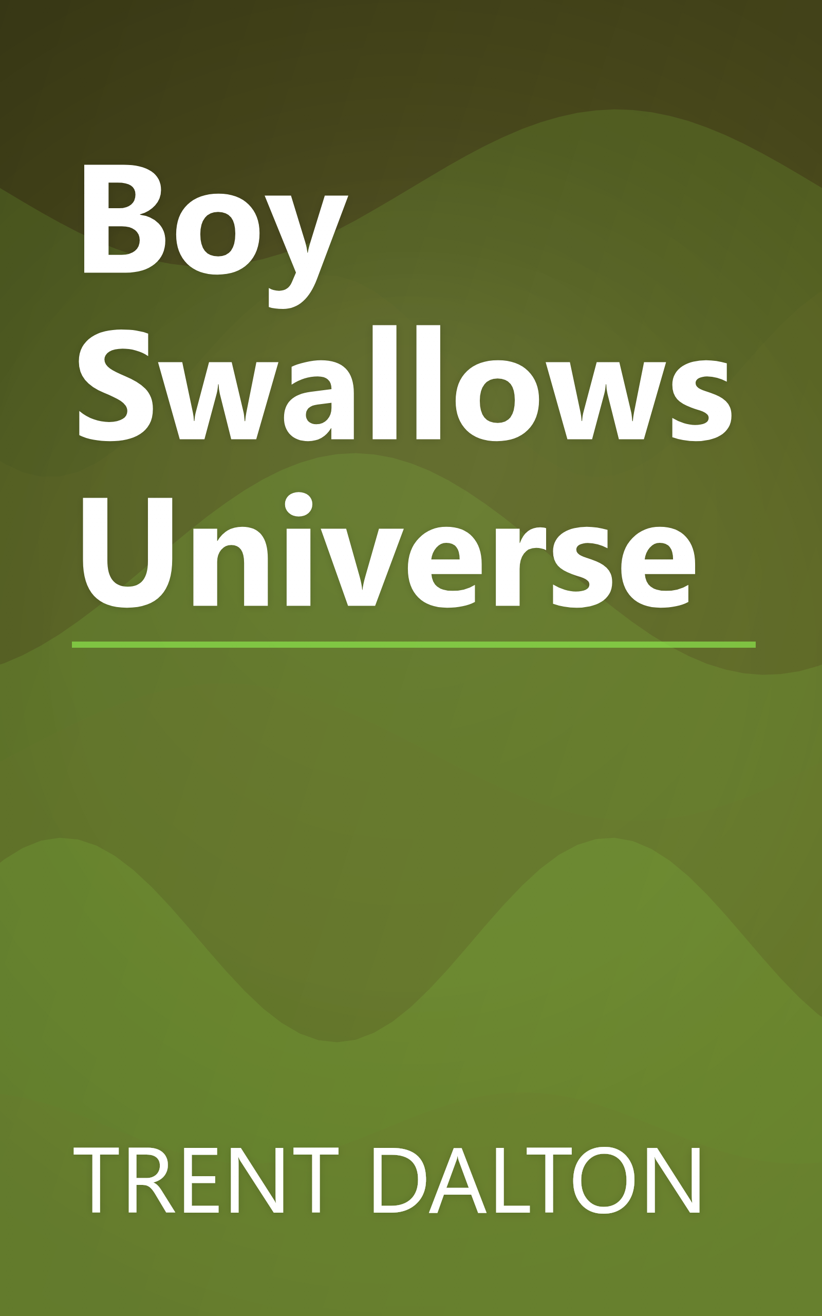 Boy Swallows Universe book cover