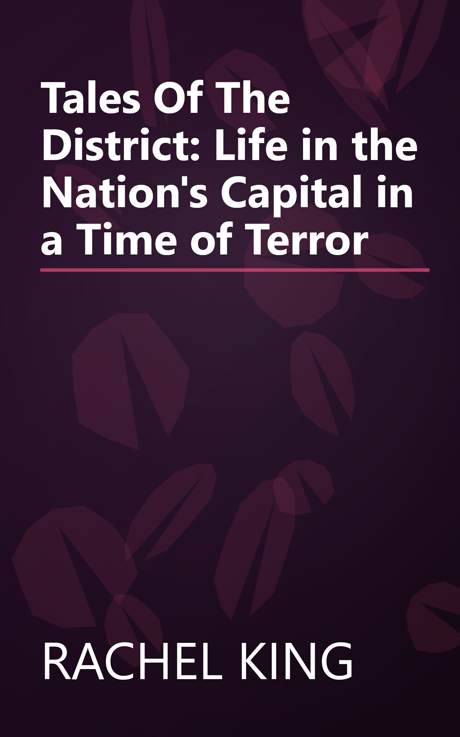 Tales Of The District: Life in the Nation's Capital in a Time of Terror book cover
