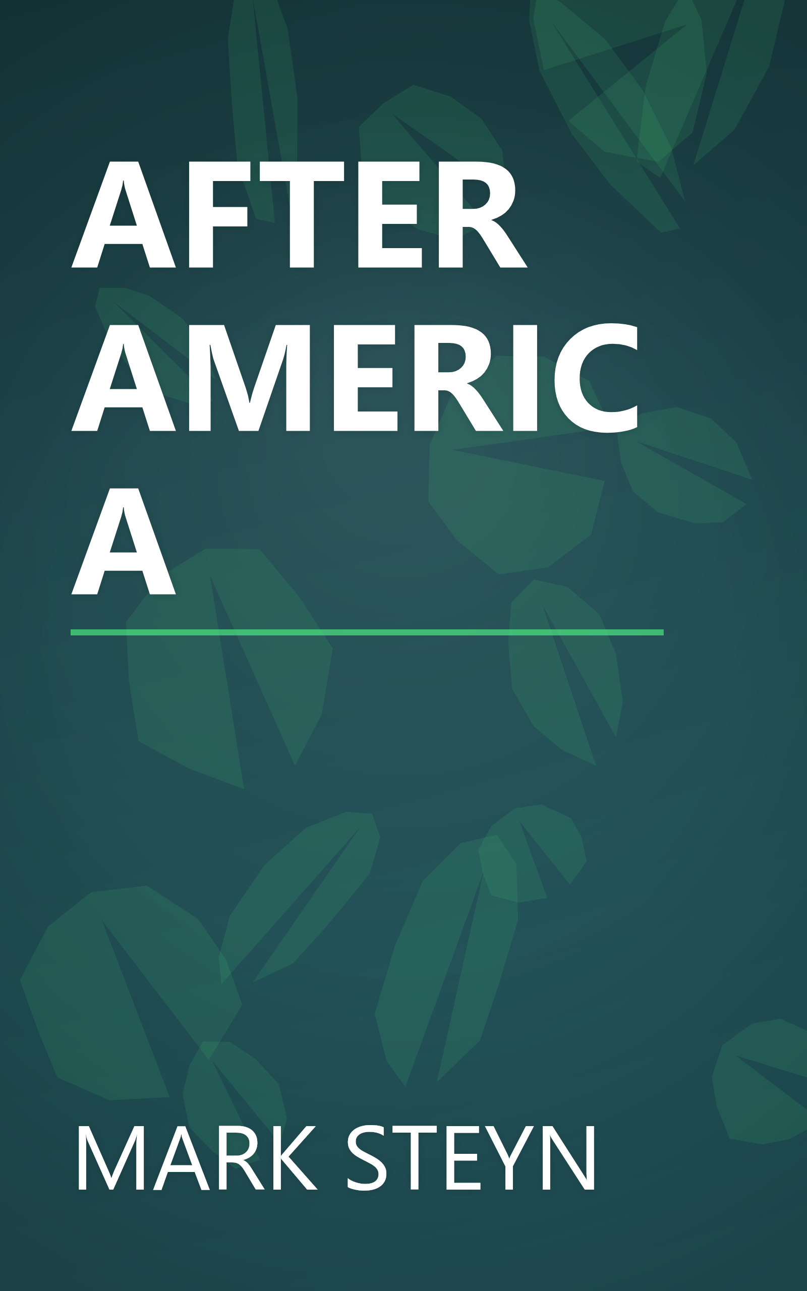 AFTER AMERICA book cover