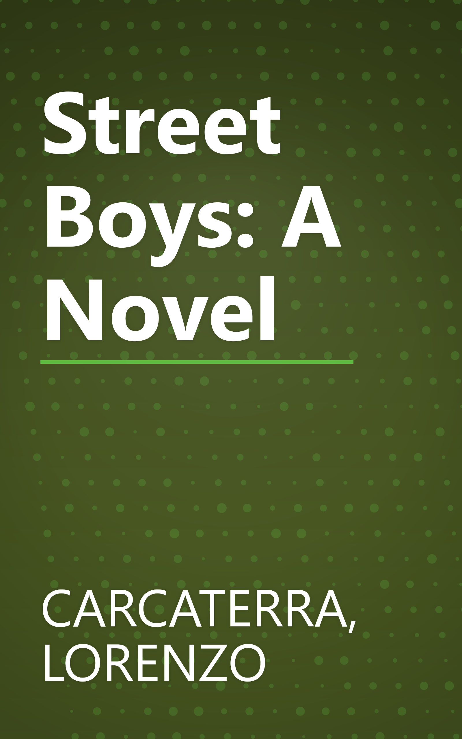 Street Boys: A Novel book cover