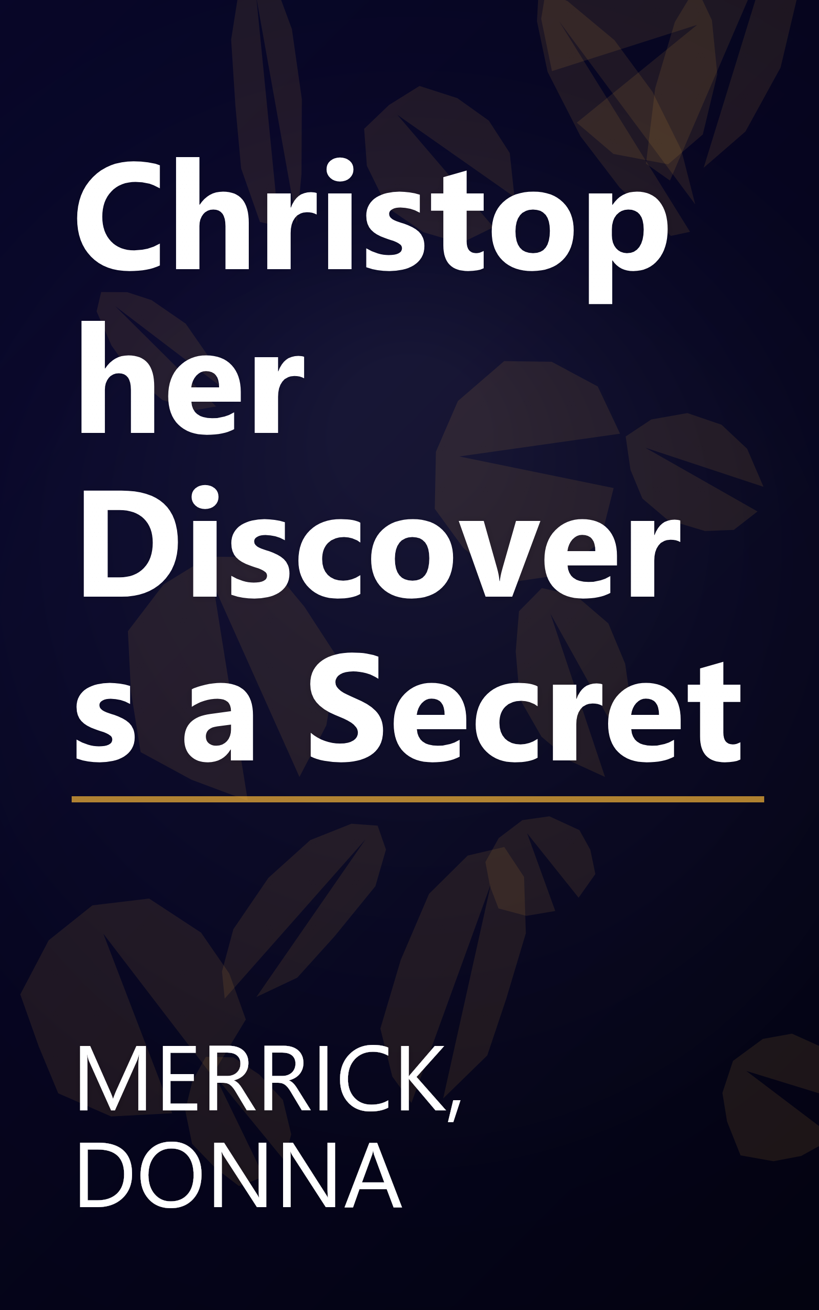 Christopher Discovers a Secret book cover