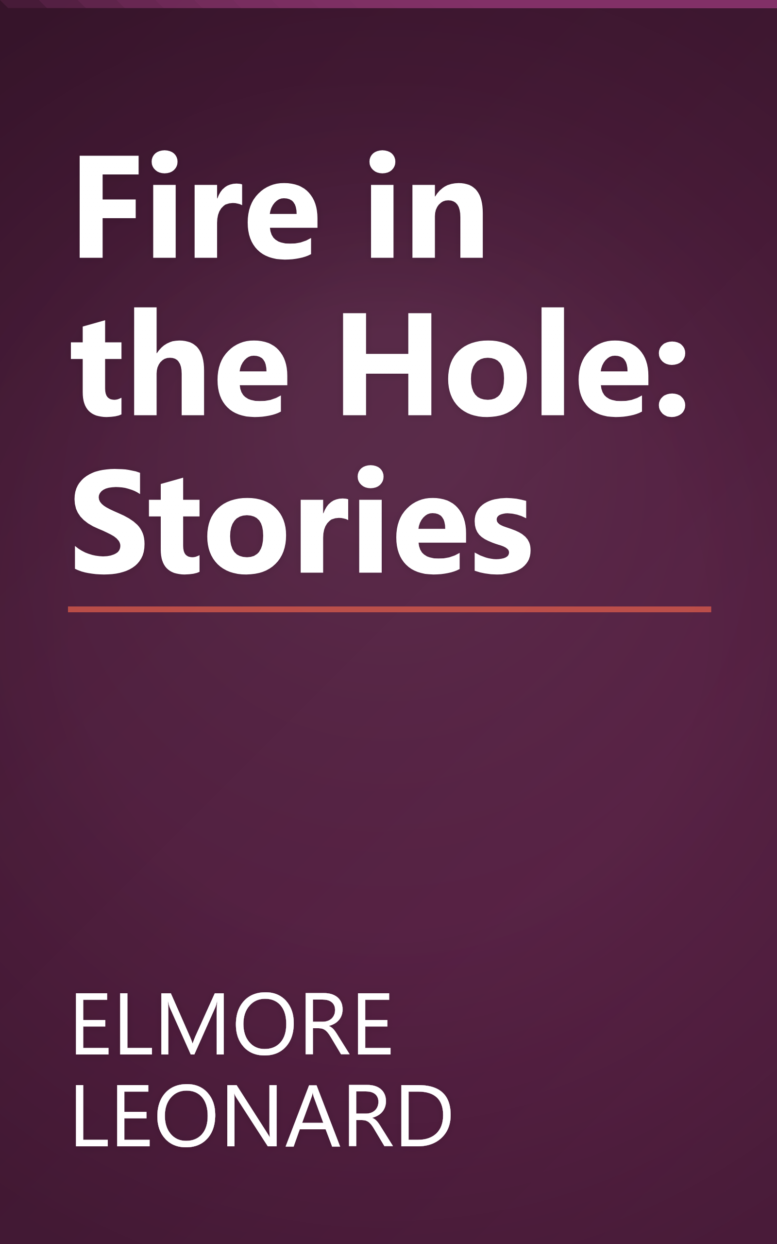 Fire in the Hole: Stories book cover