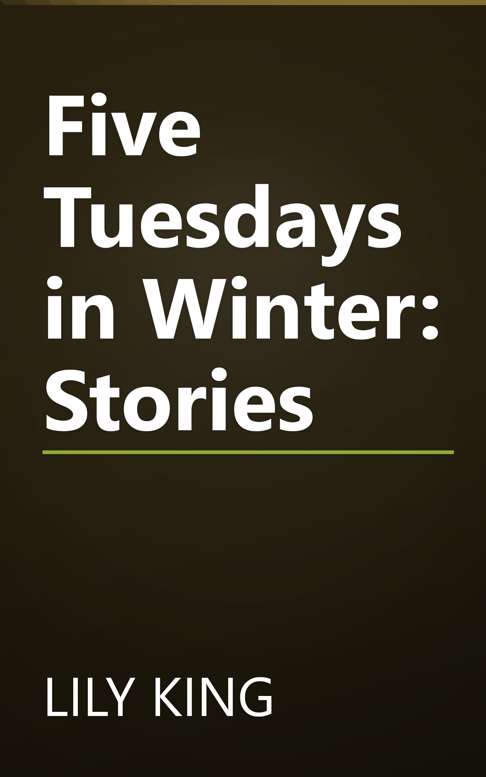 Five Tuesdays in Winter: Stories book cover
