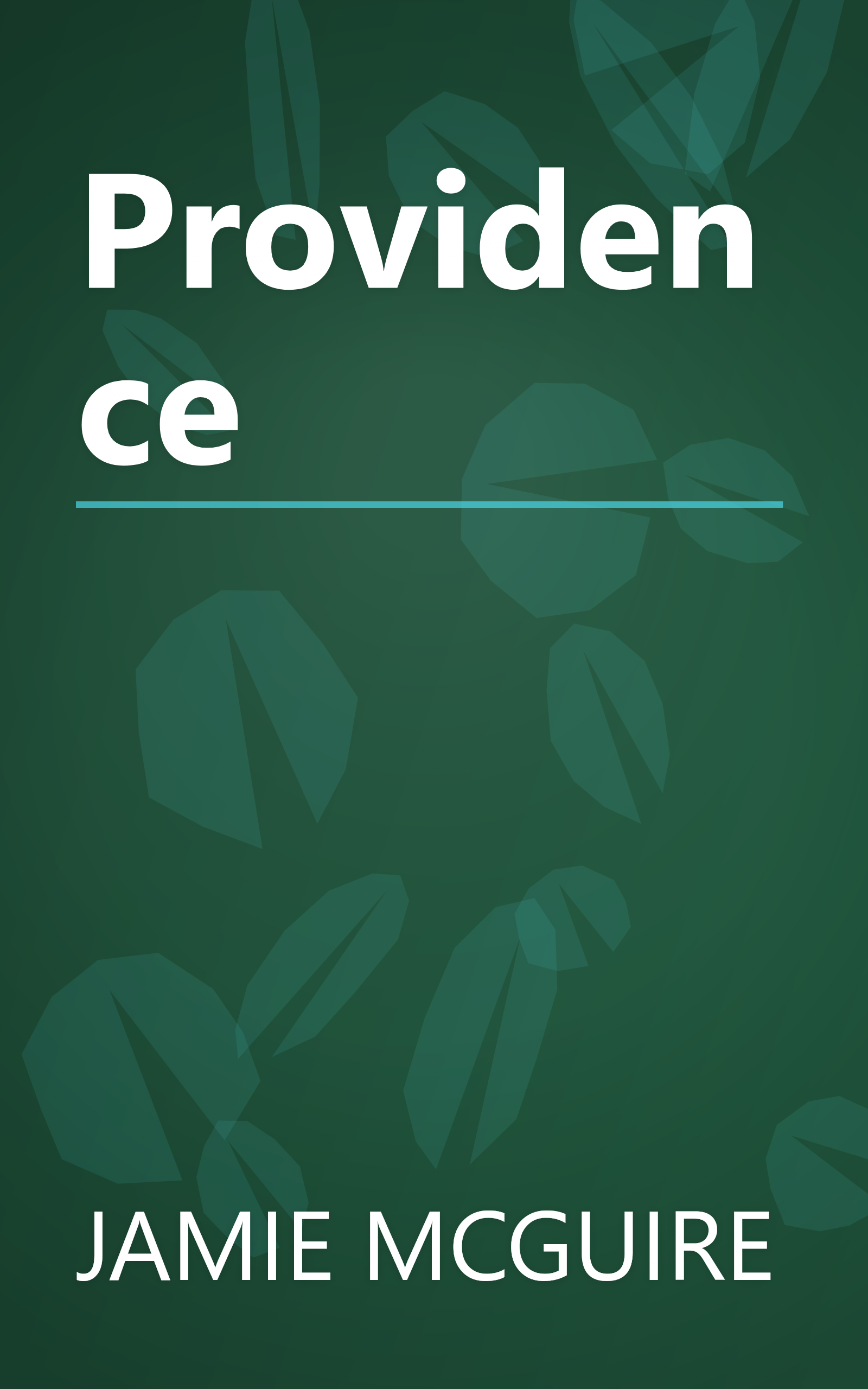 Providence book cover