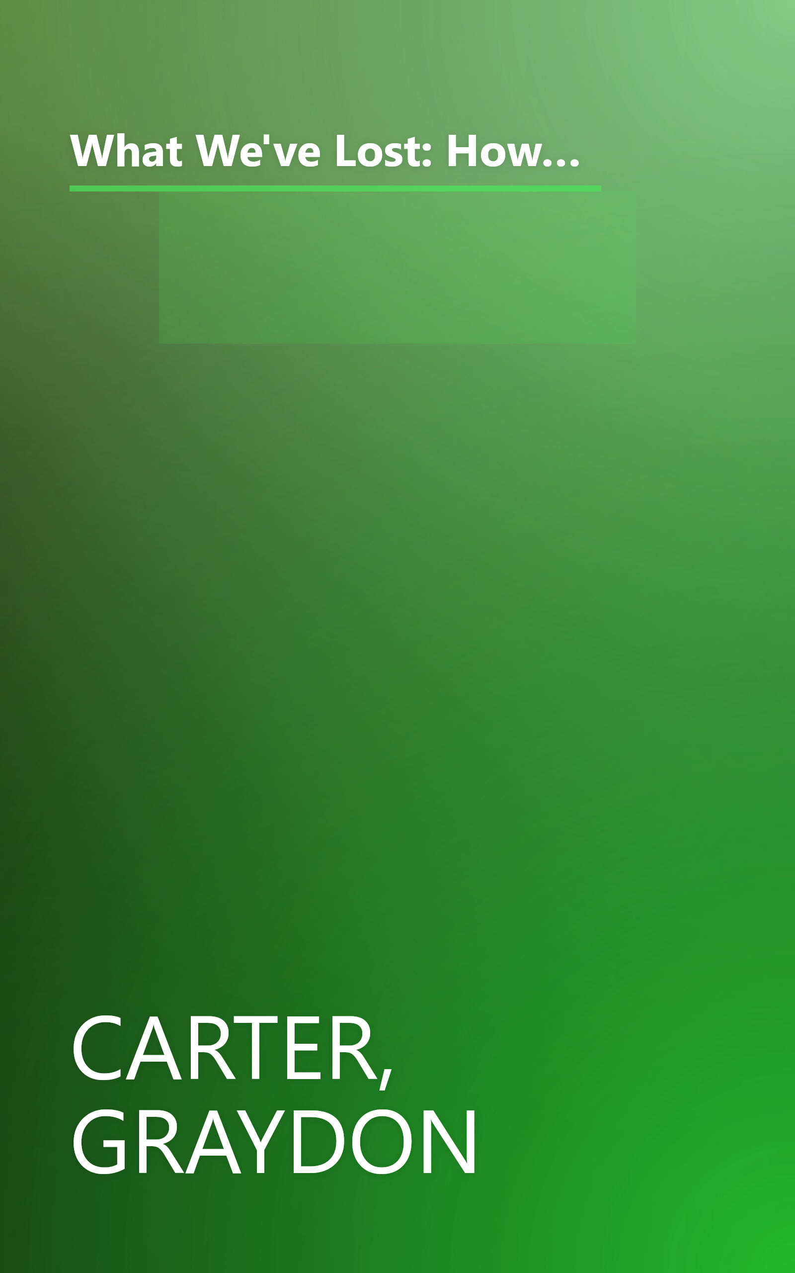 What We've Lost: How the Bush Administration Has Curtailed Our Freedoms, Mortgaged Our Economy, Ravaged Our Environment, and Damaged Our Standing in the World book cover