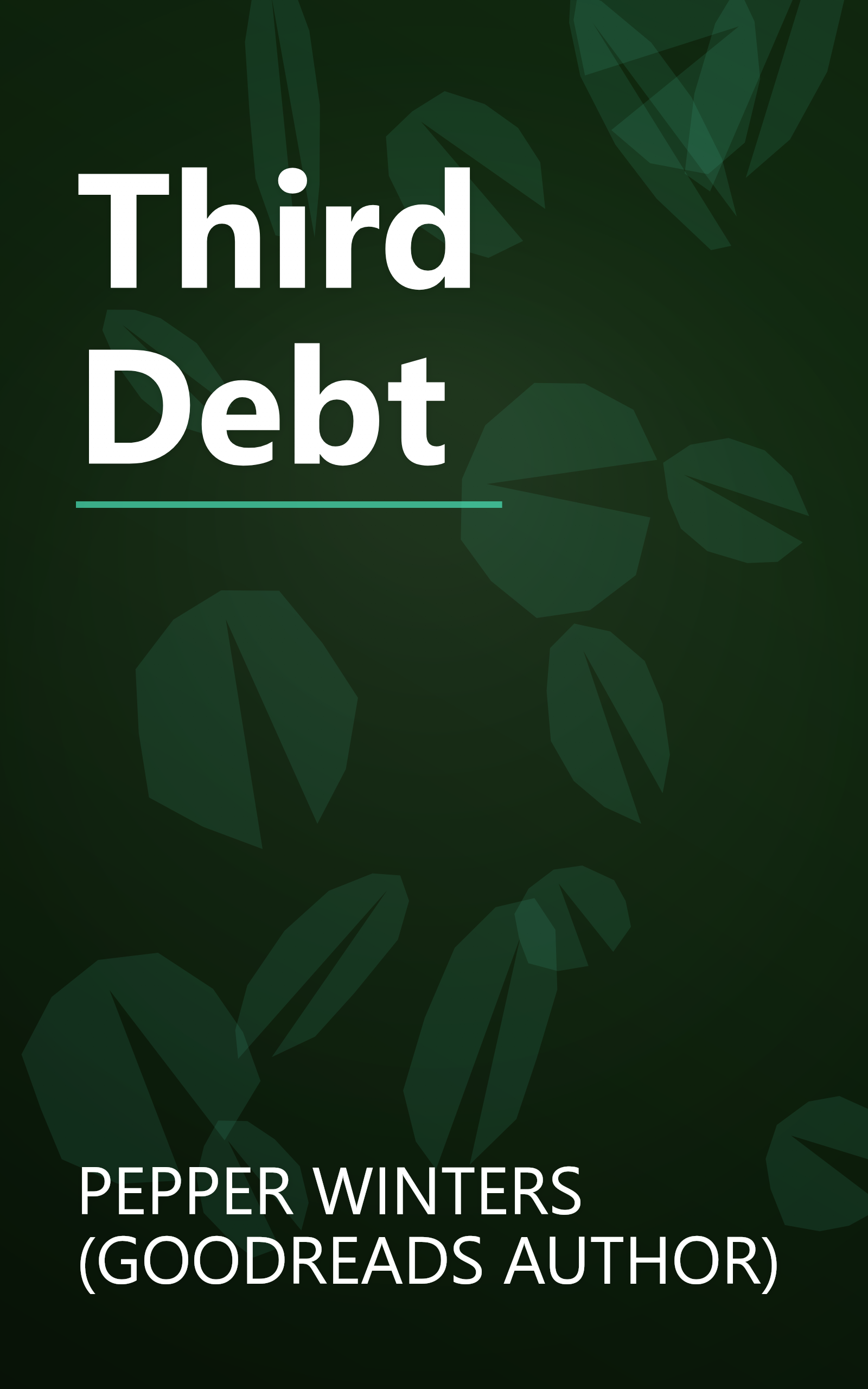 Third Debt book cover