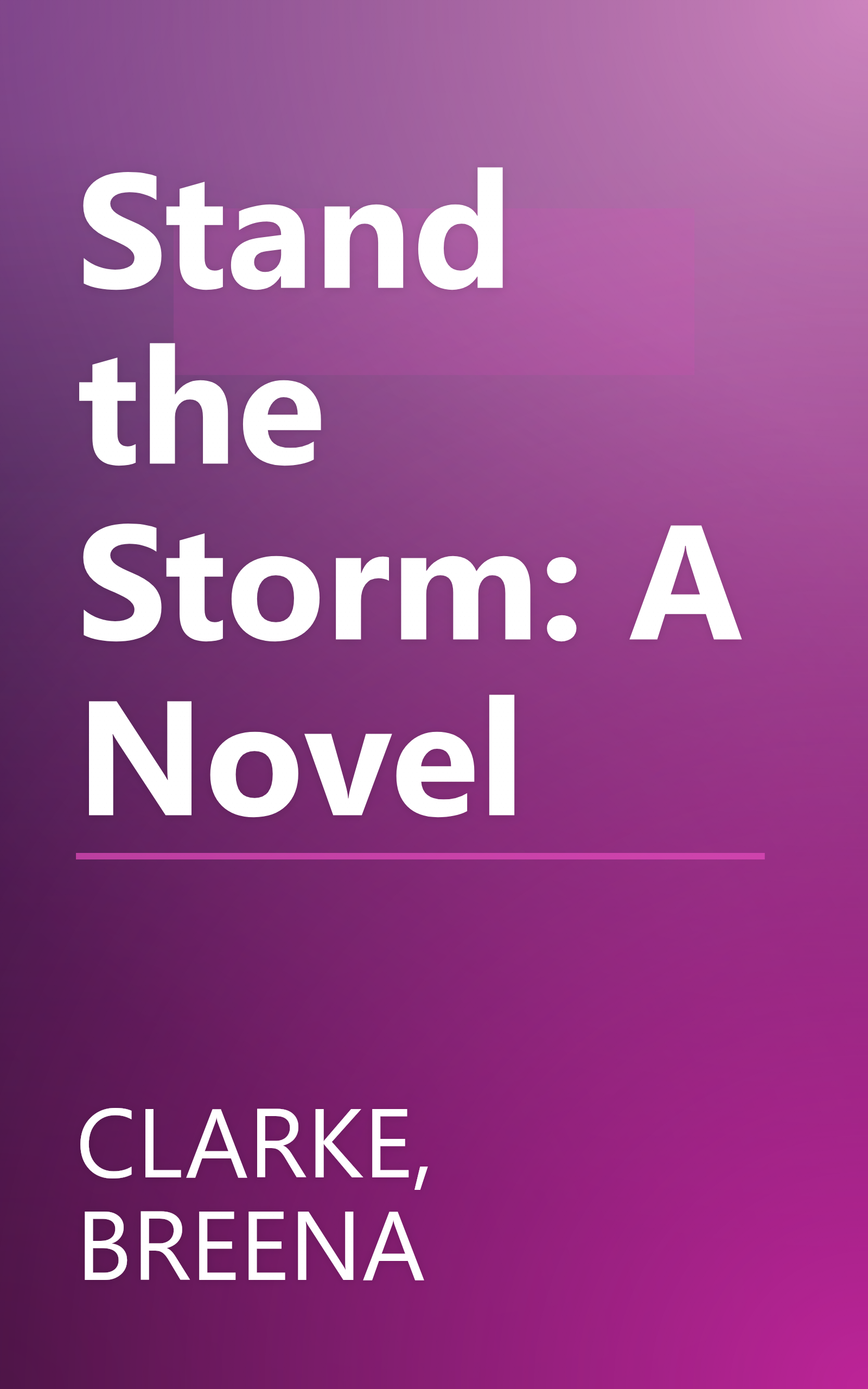 Stand the Storm: A Novel book cover
