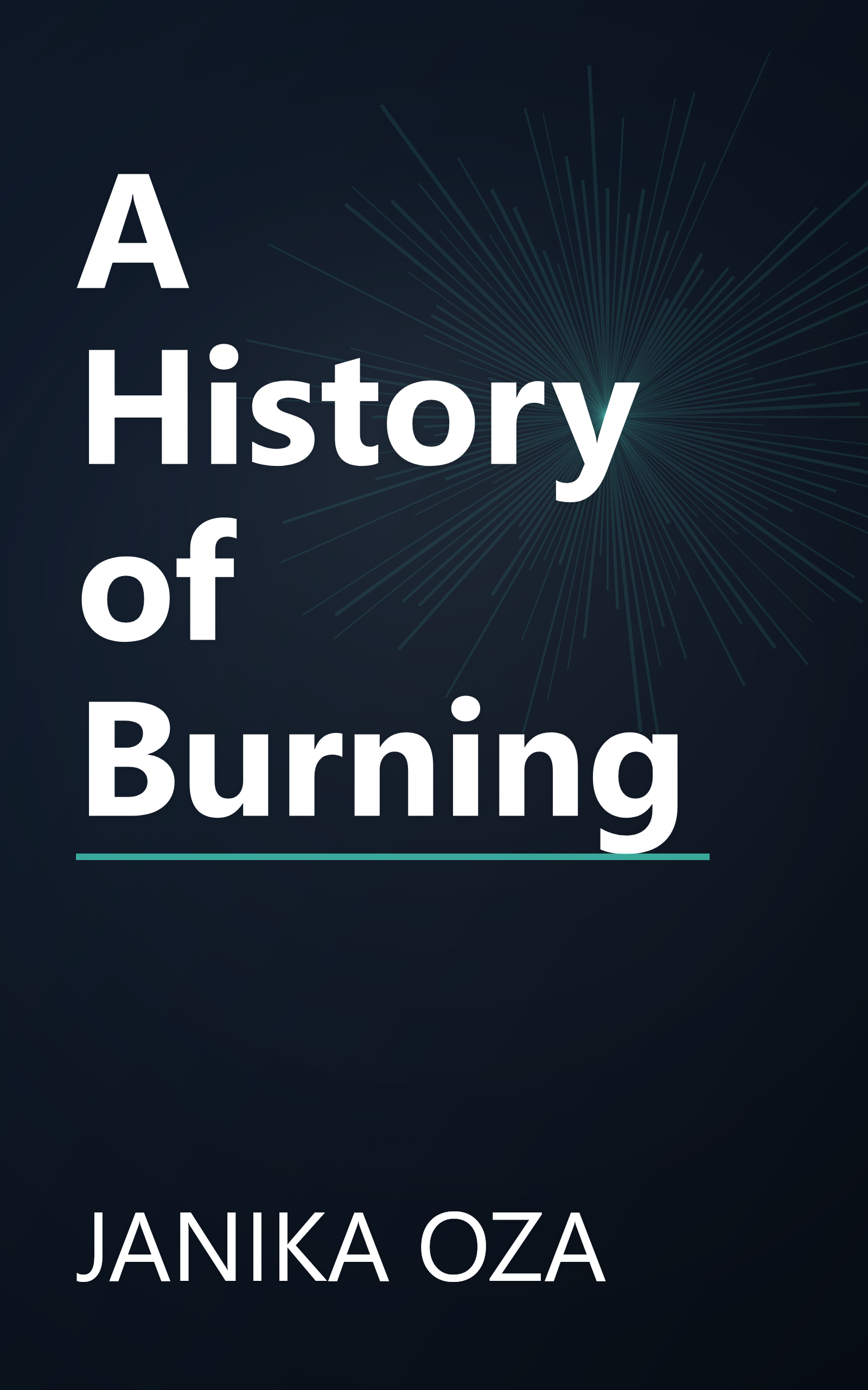 A History of Burning book cover