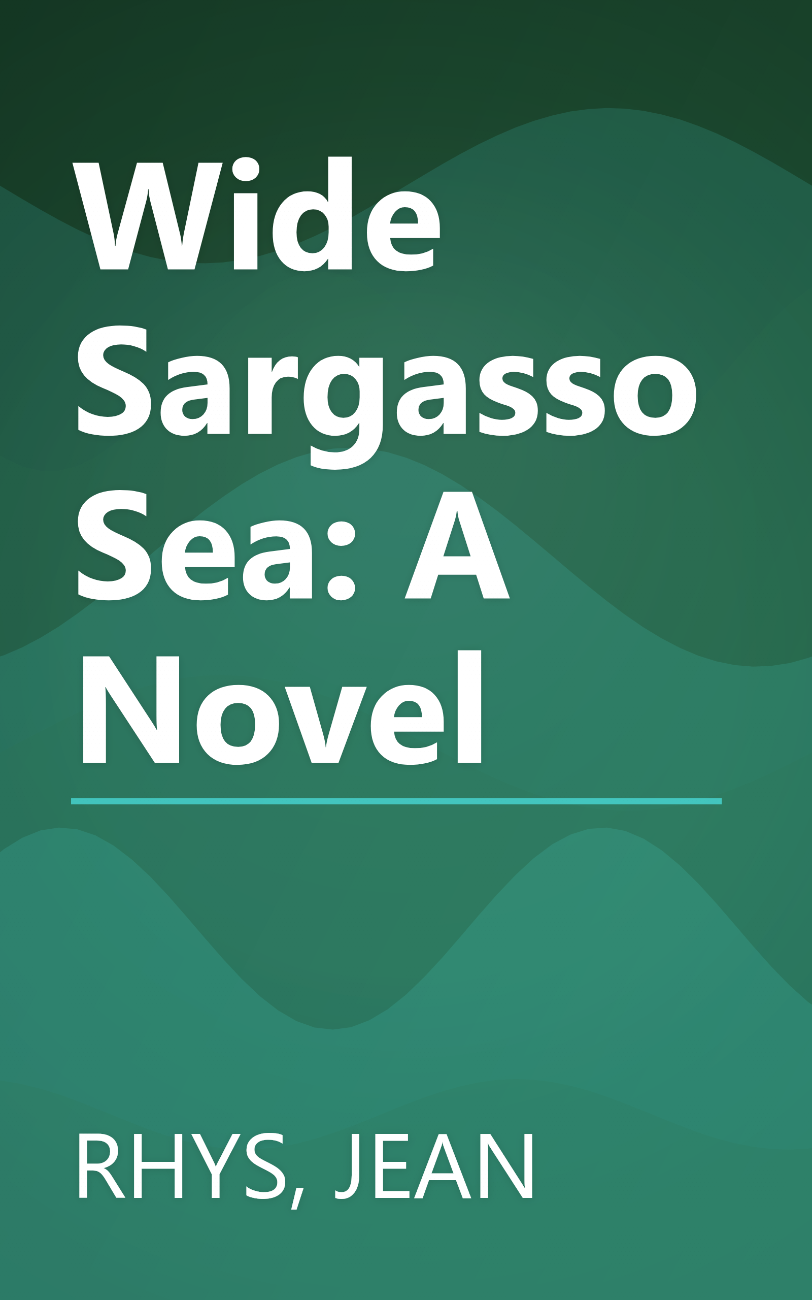 Wide Sargasso Sea: A Novel book cover