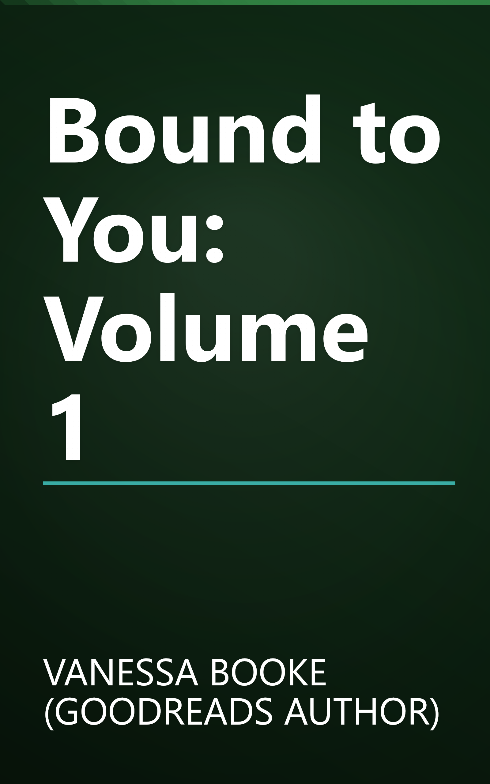 Bound to You: Volume 1 book cover