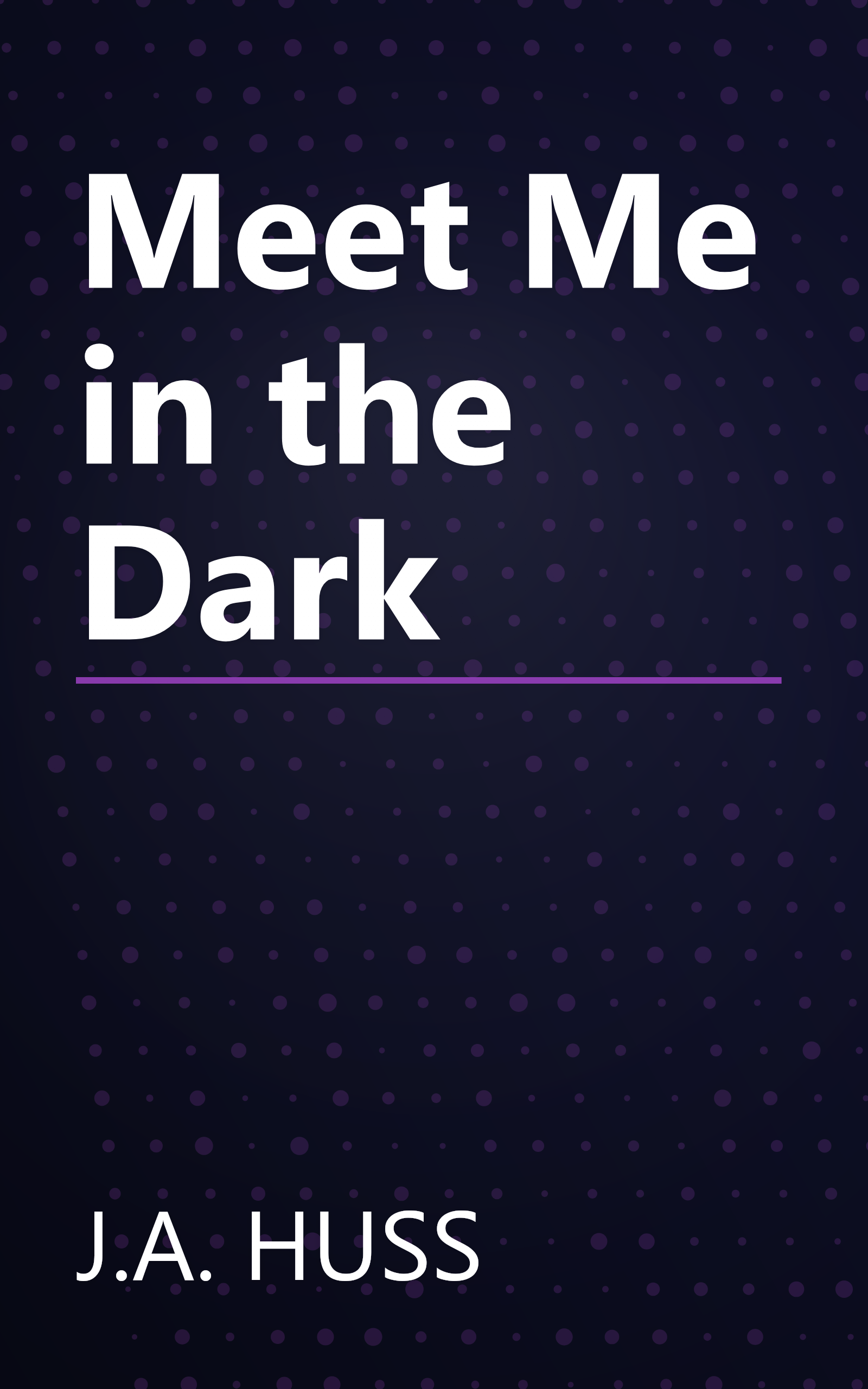 Meet Me in the Dark book cover