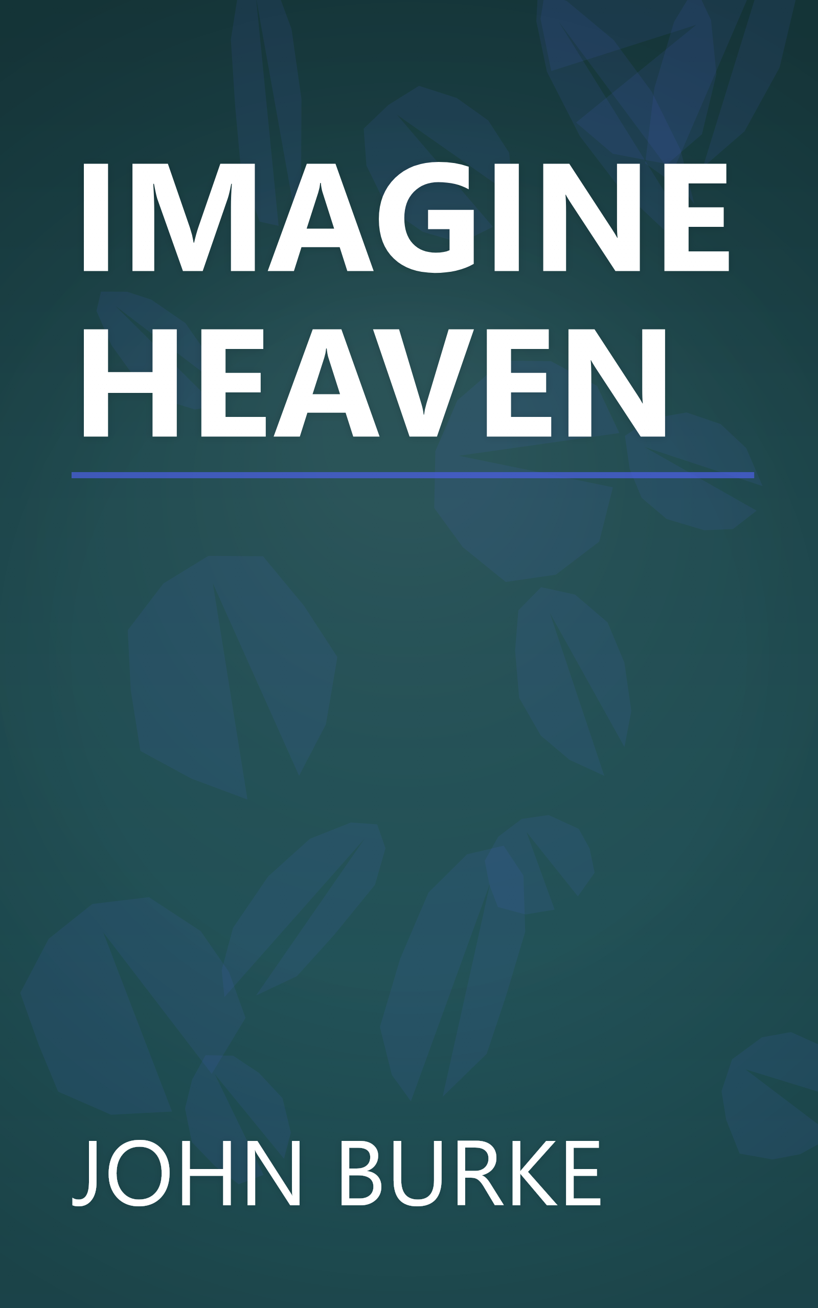 IMAGINE HEAVEN book cover