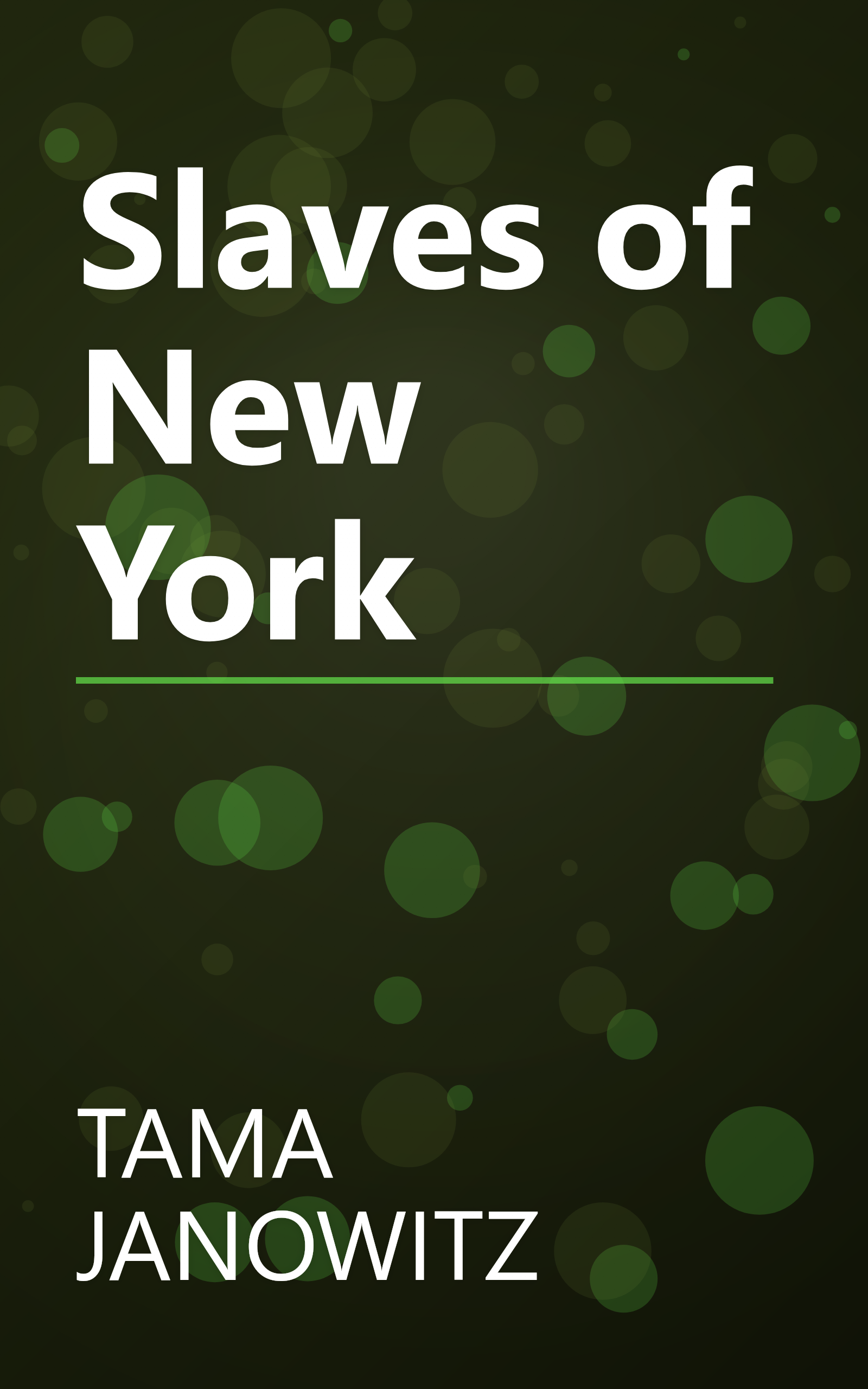 Slaves of New York book cover