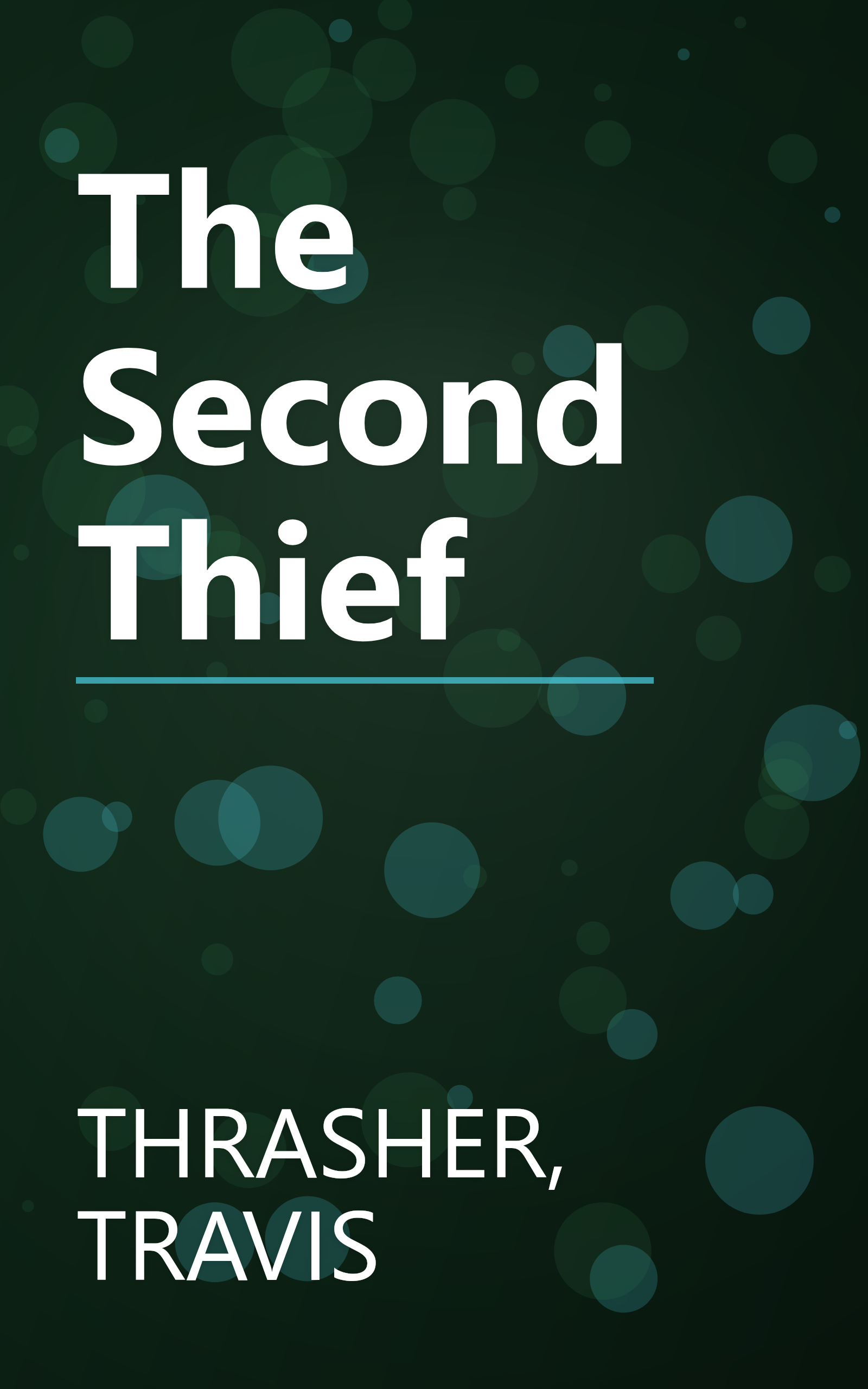 The Second Thief book cover