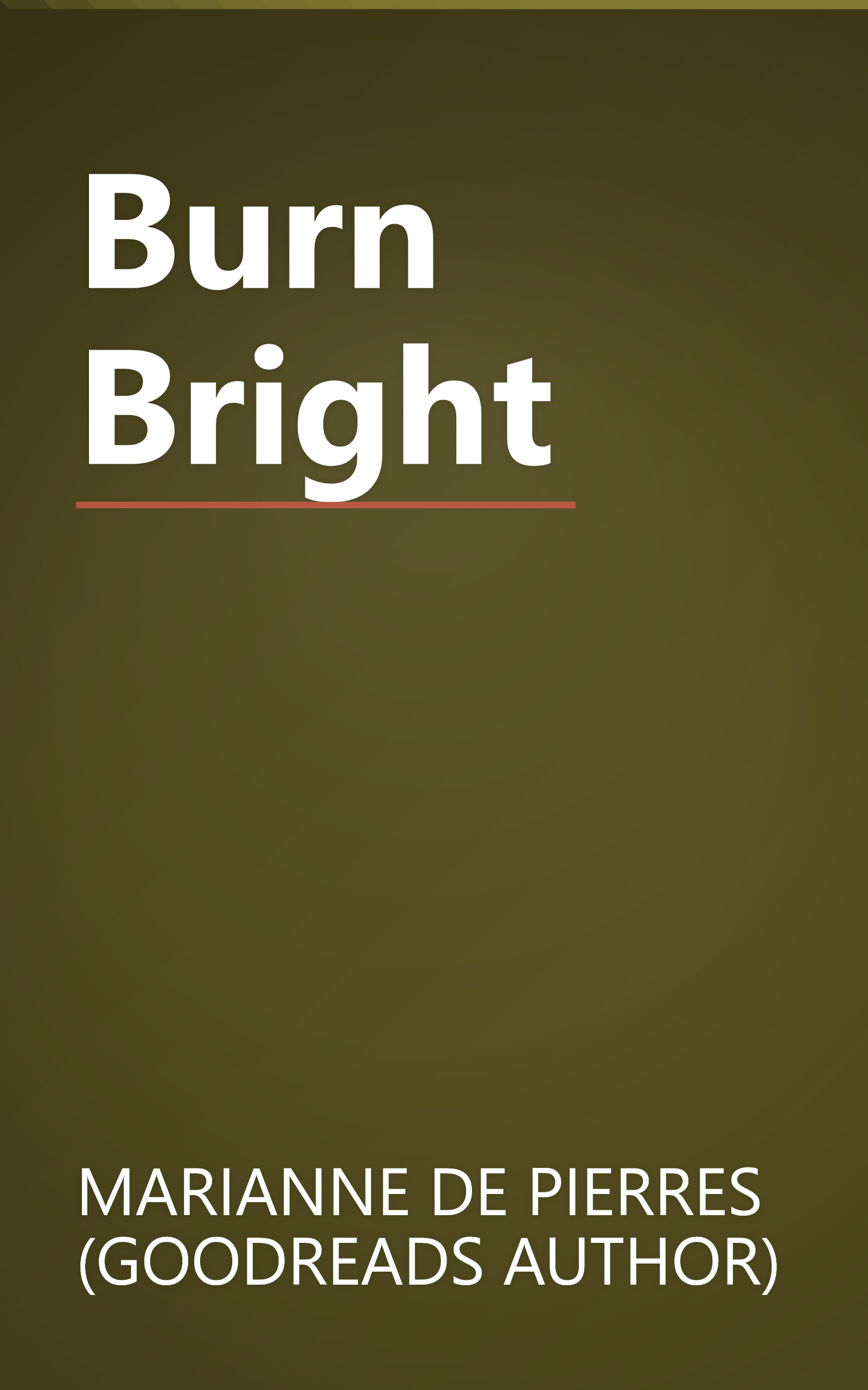 Burn Bright book cover