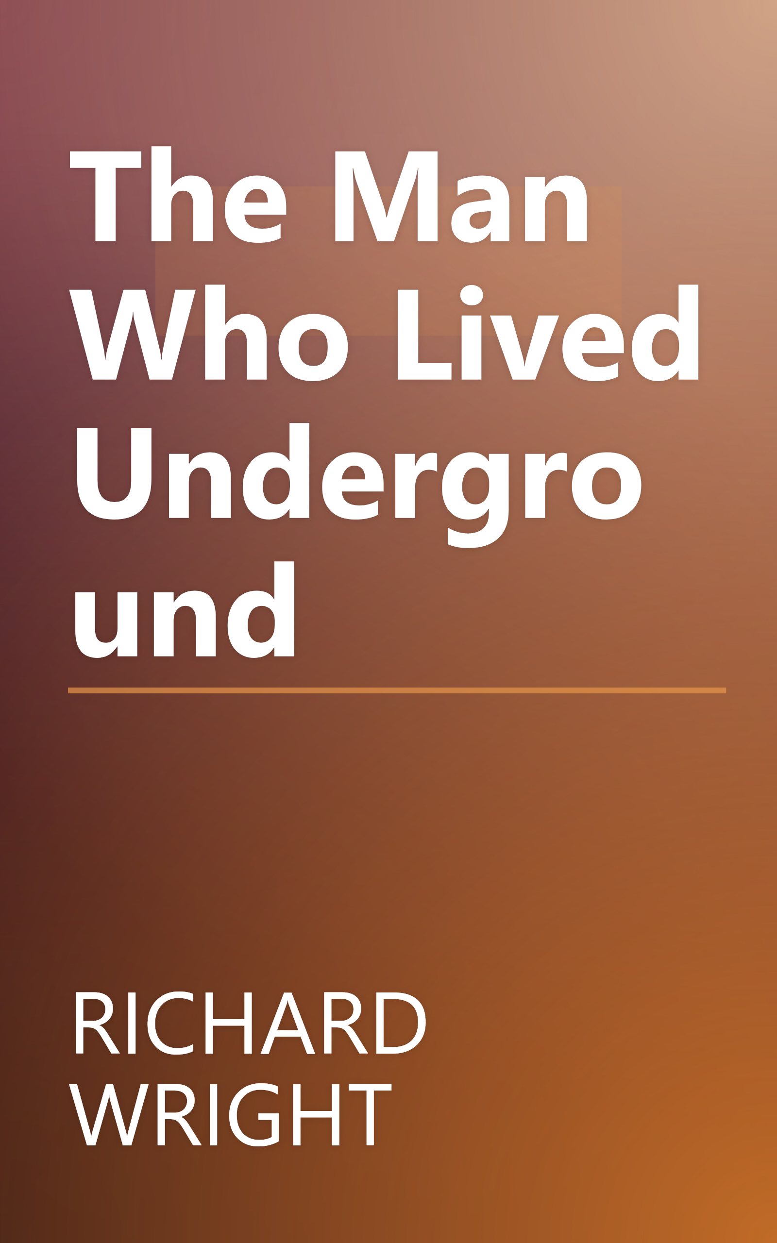 The Man Who Lived Underground book cover