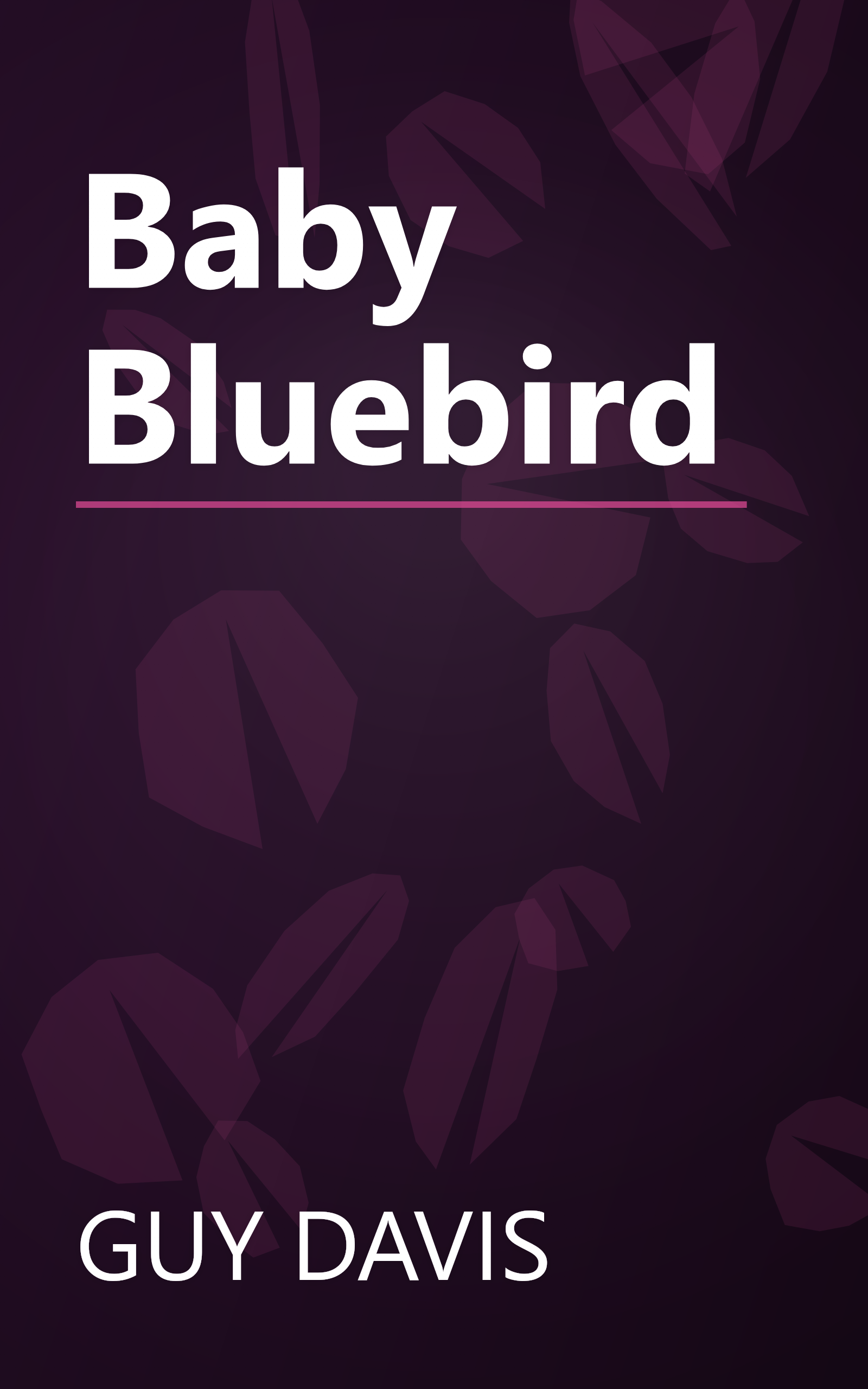 Baby Bluebird book cover