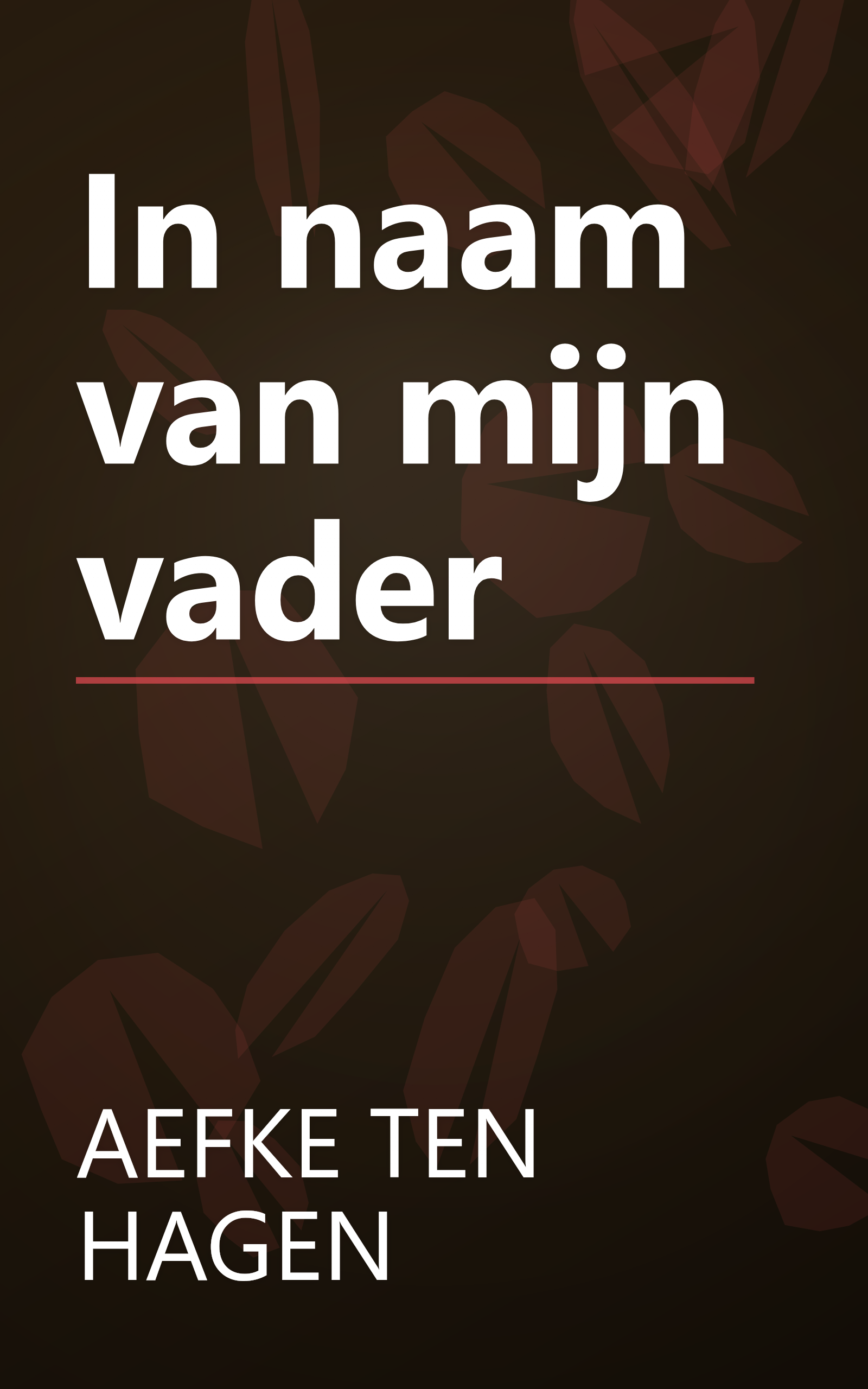 In naam van mijn vader book cover