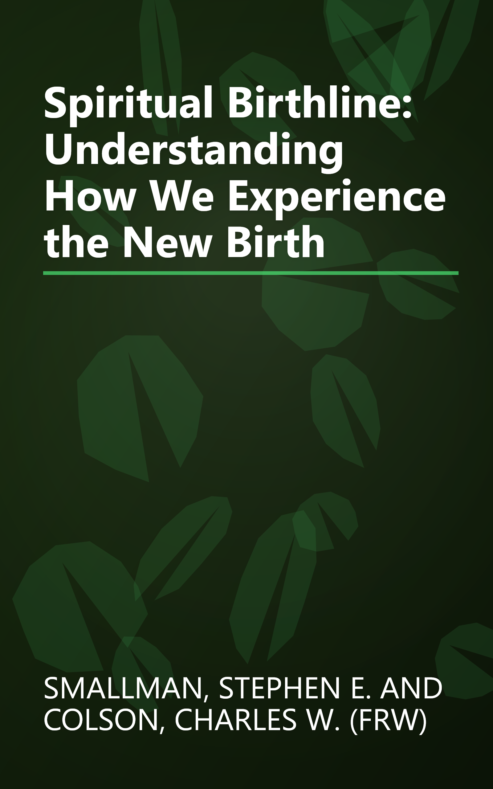 Spiritual Birthline: Understanding How We Experience the New Birth book cover