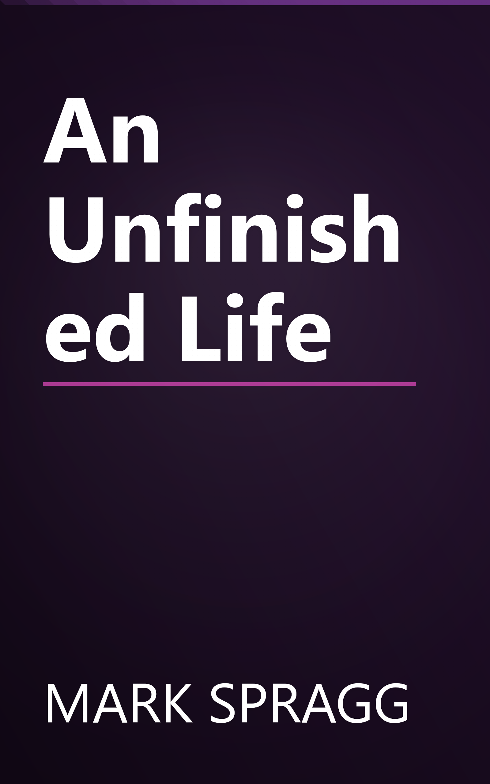 An Unfinished Life book cover