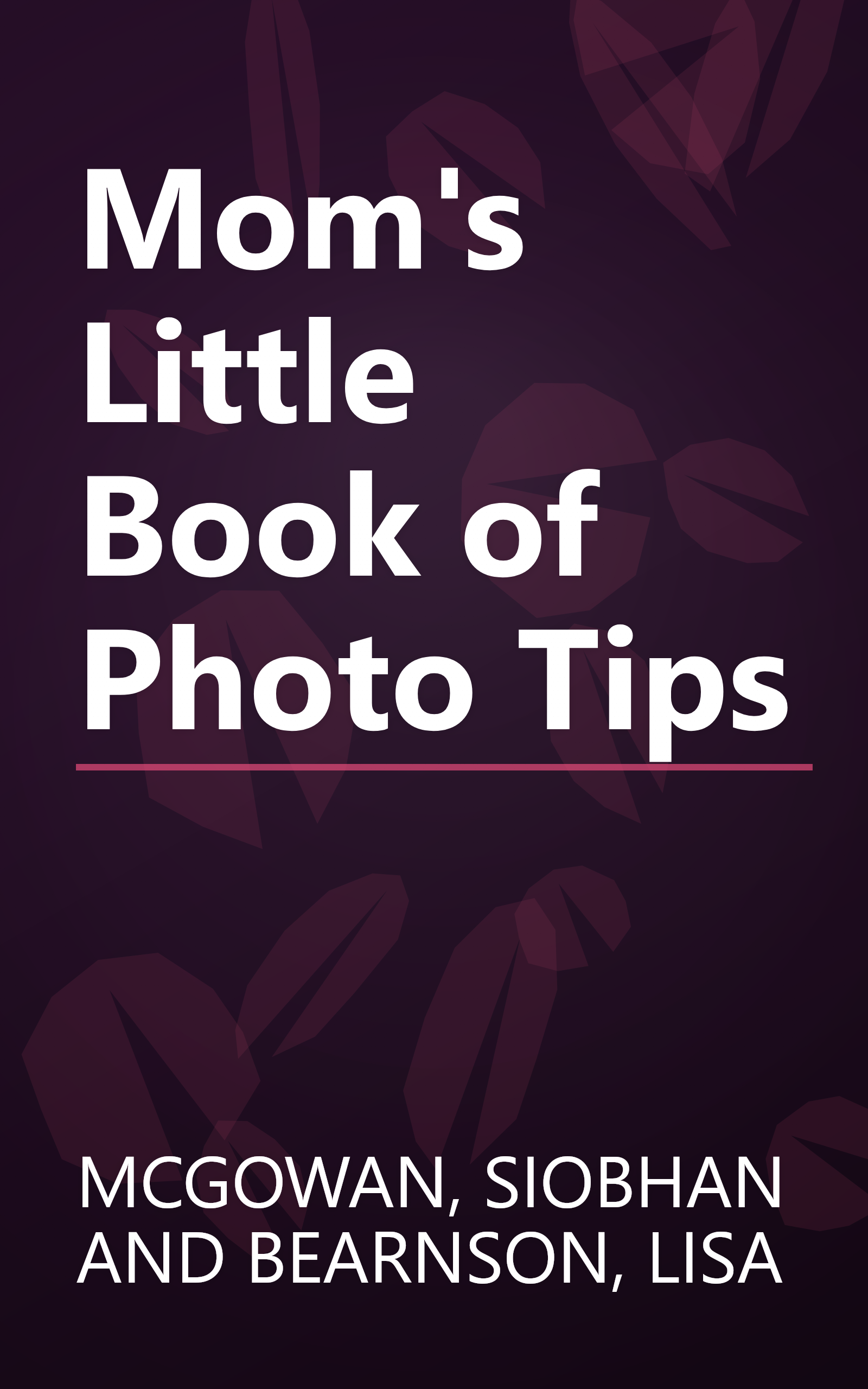 Mom's Little Book of Photo Tips book cover
