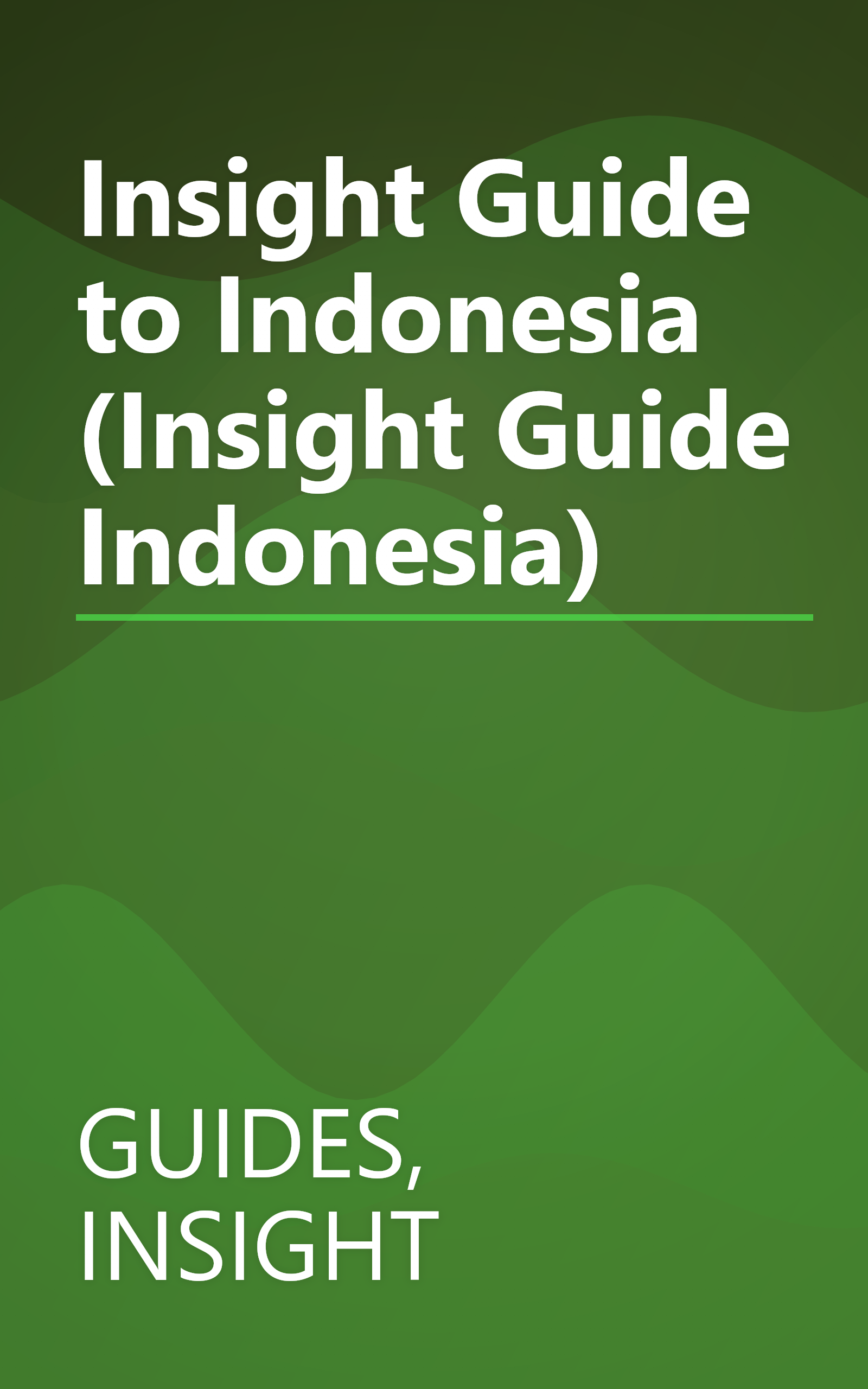 Insight Guide to Indonesia (Insight Guide Indonesia) book cover