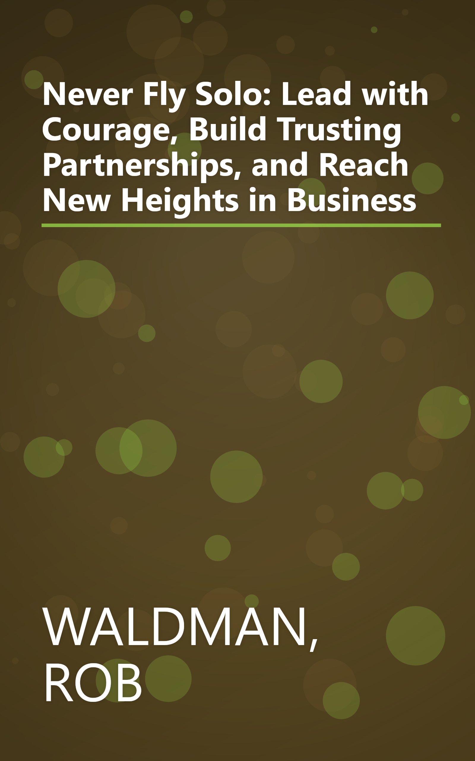 Never Fly Solo: Lead with Courage, Build Trusting Partnerships, and Reach New Heights in Business book cover