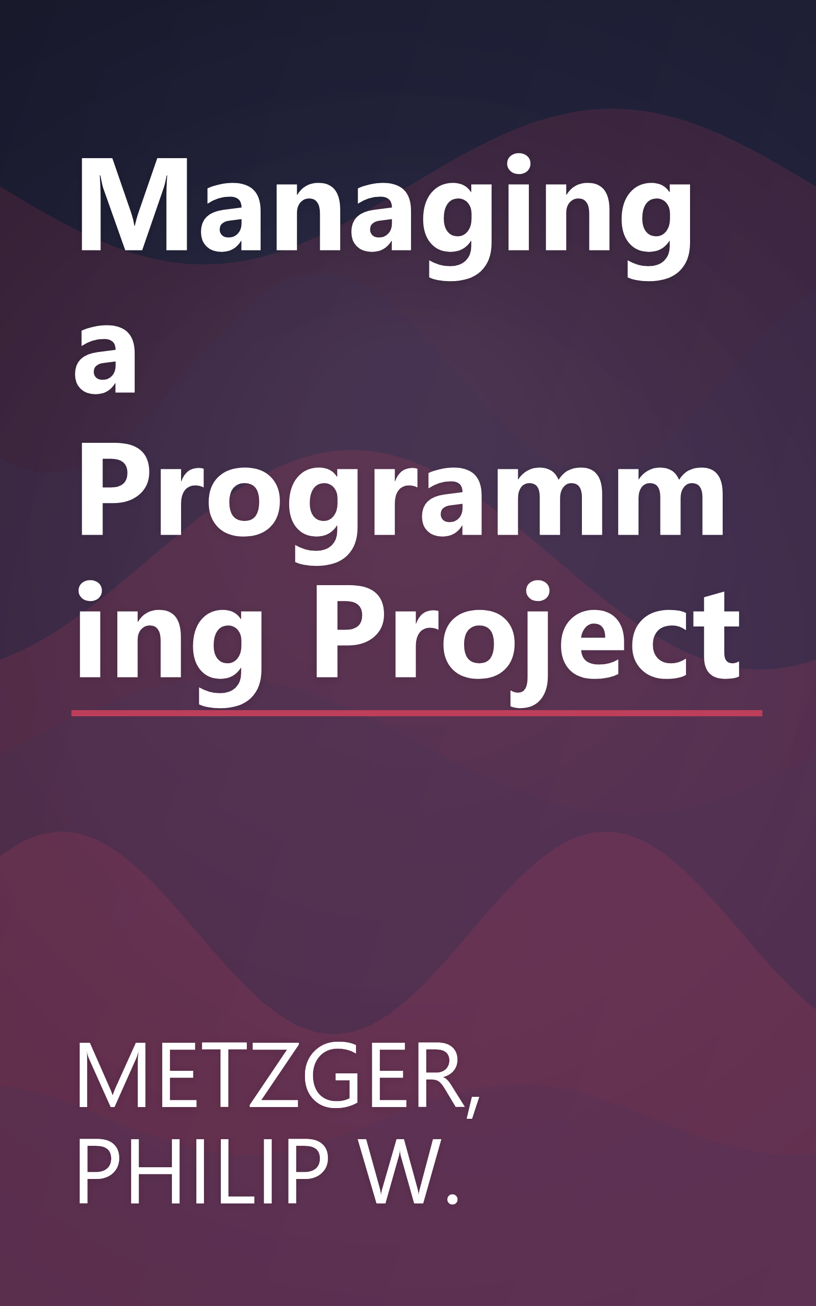 Managing a Programming Project book cover