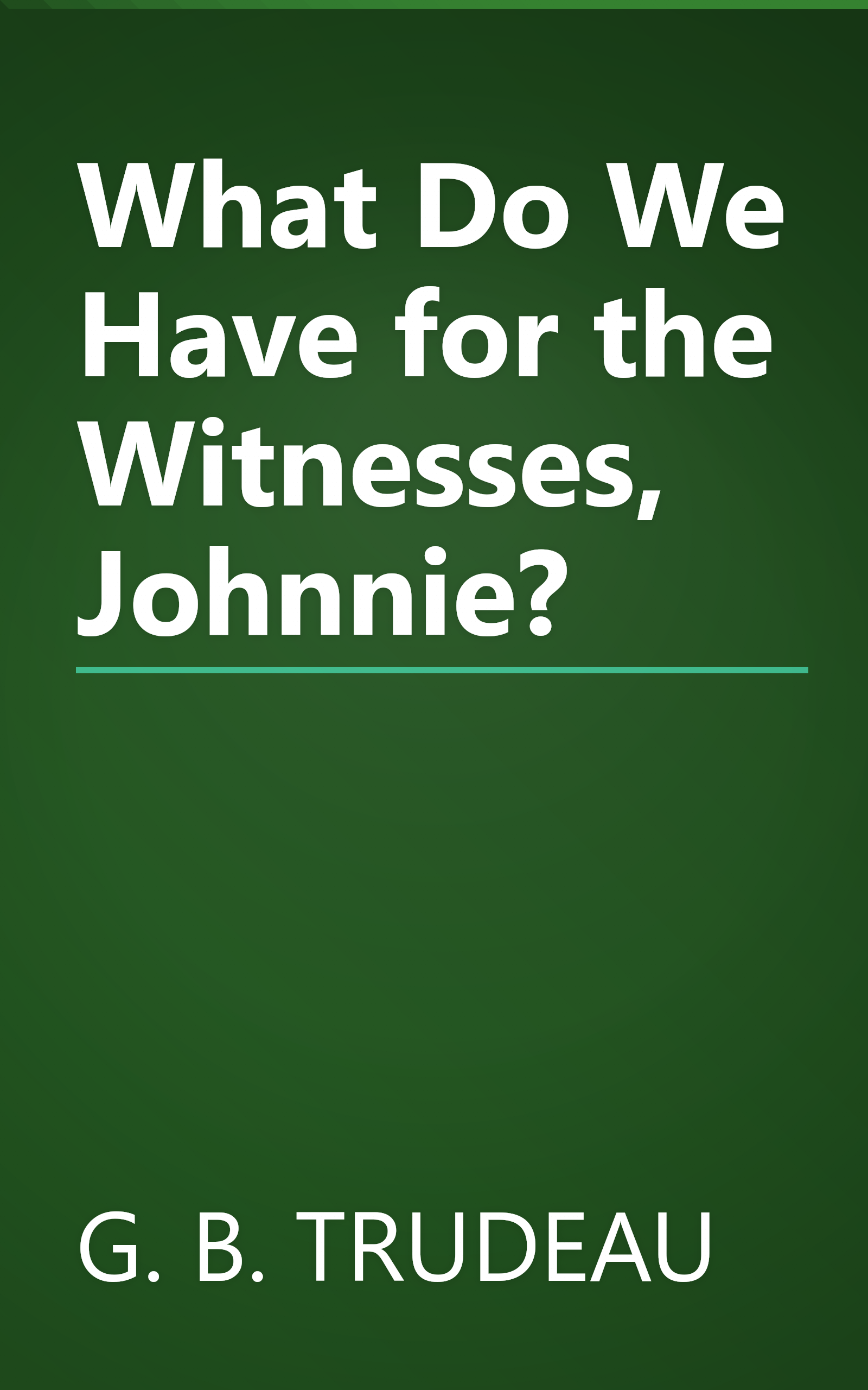 What Do We Have for the Witnesses, Johnnie? book cover
