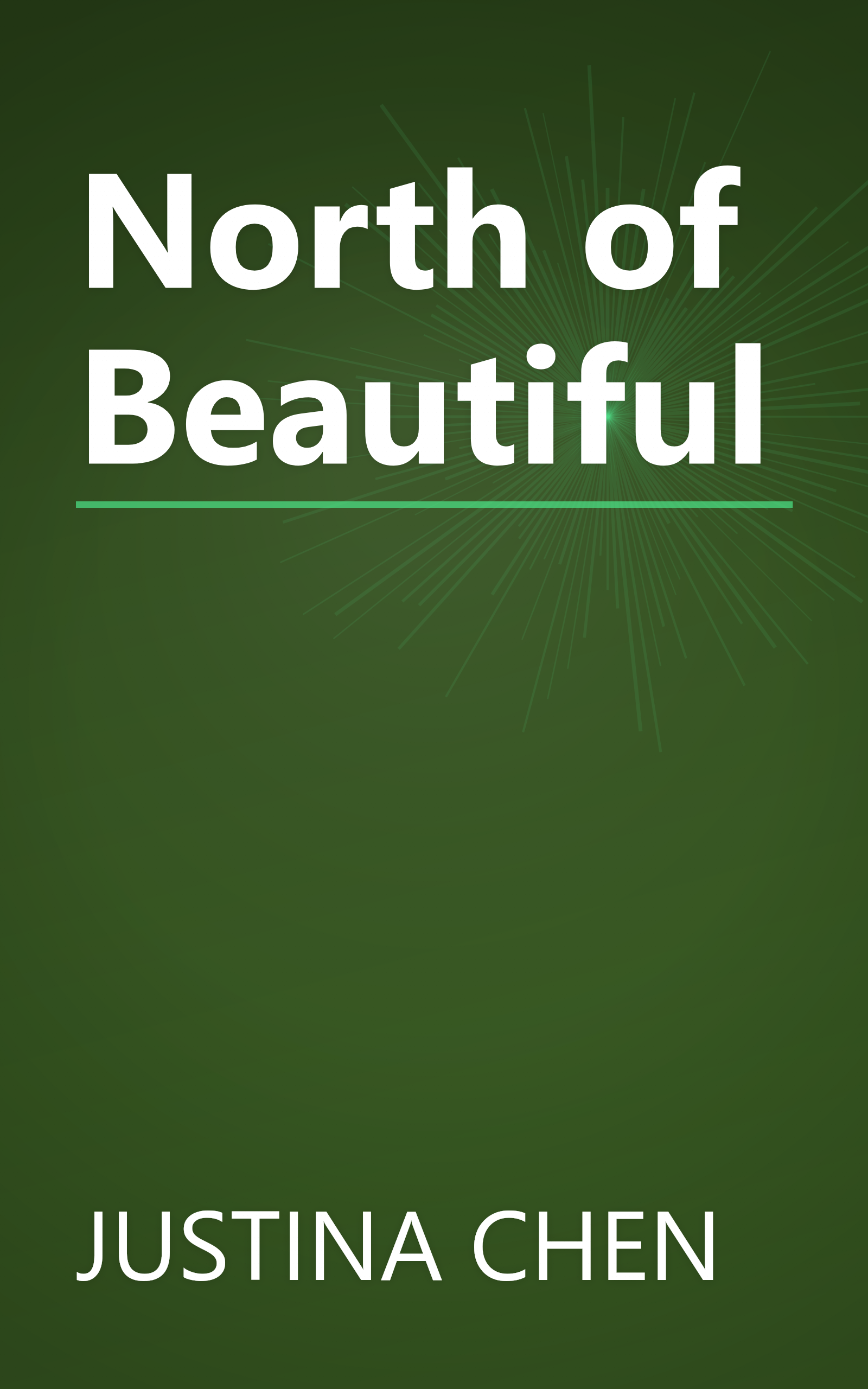 North of Beautiful book cover