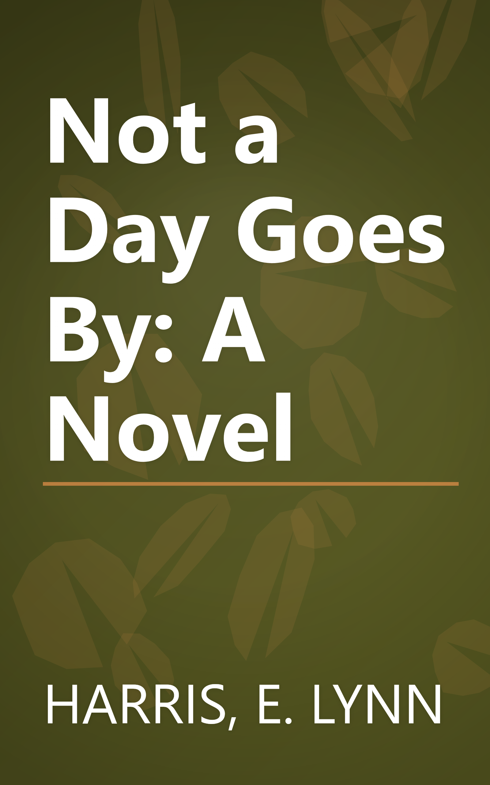 Not a Day Goes By: A Novel book cover