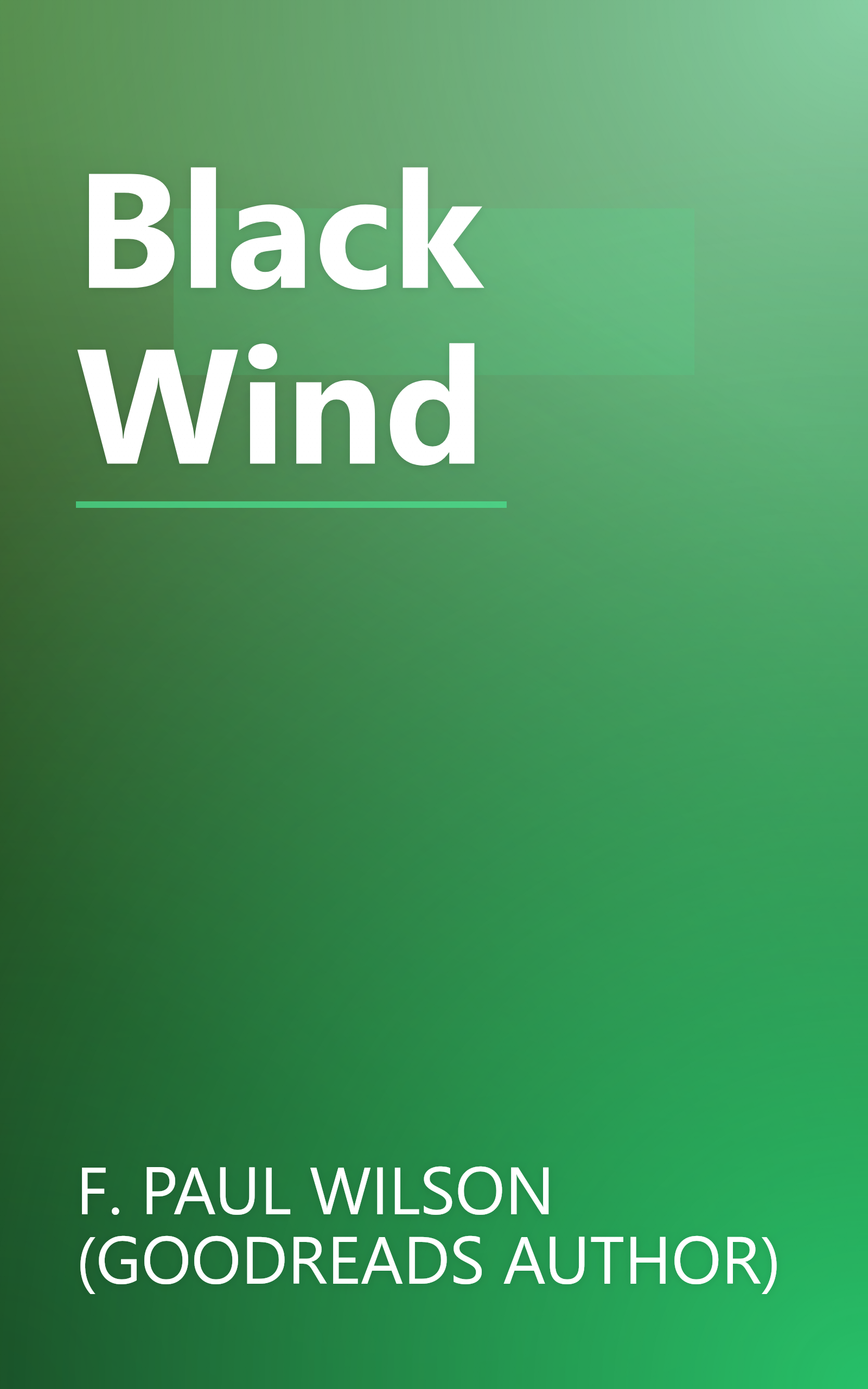 Black Wind book cover