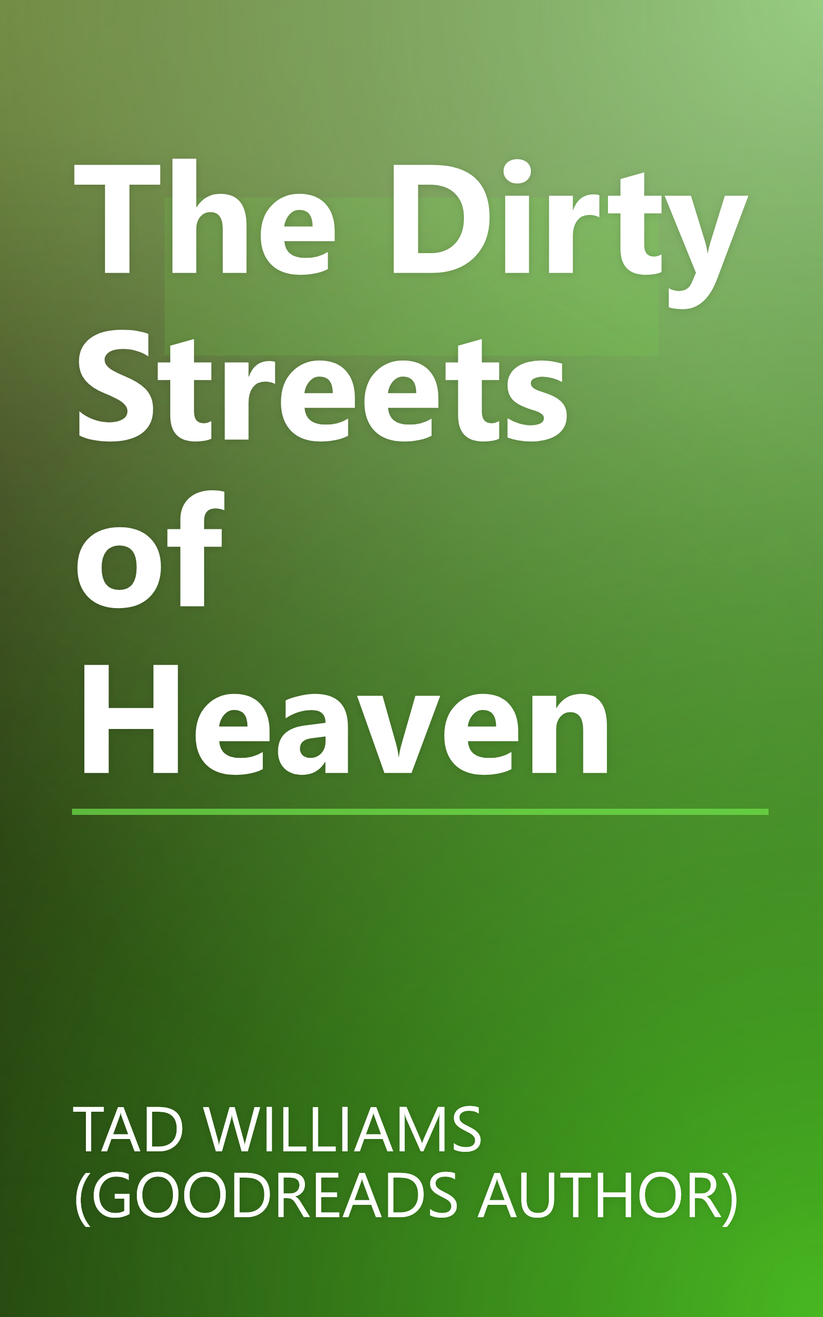 The Dirty Streets of Heaven book cover