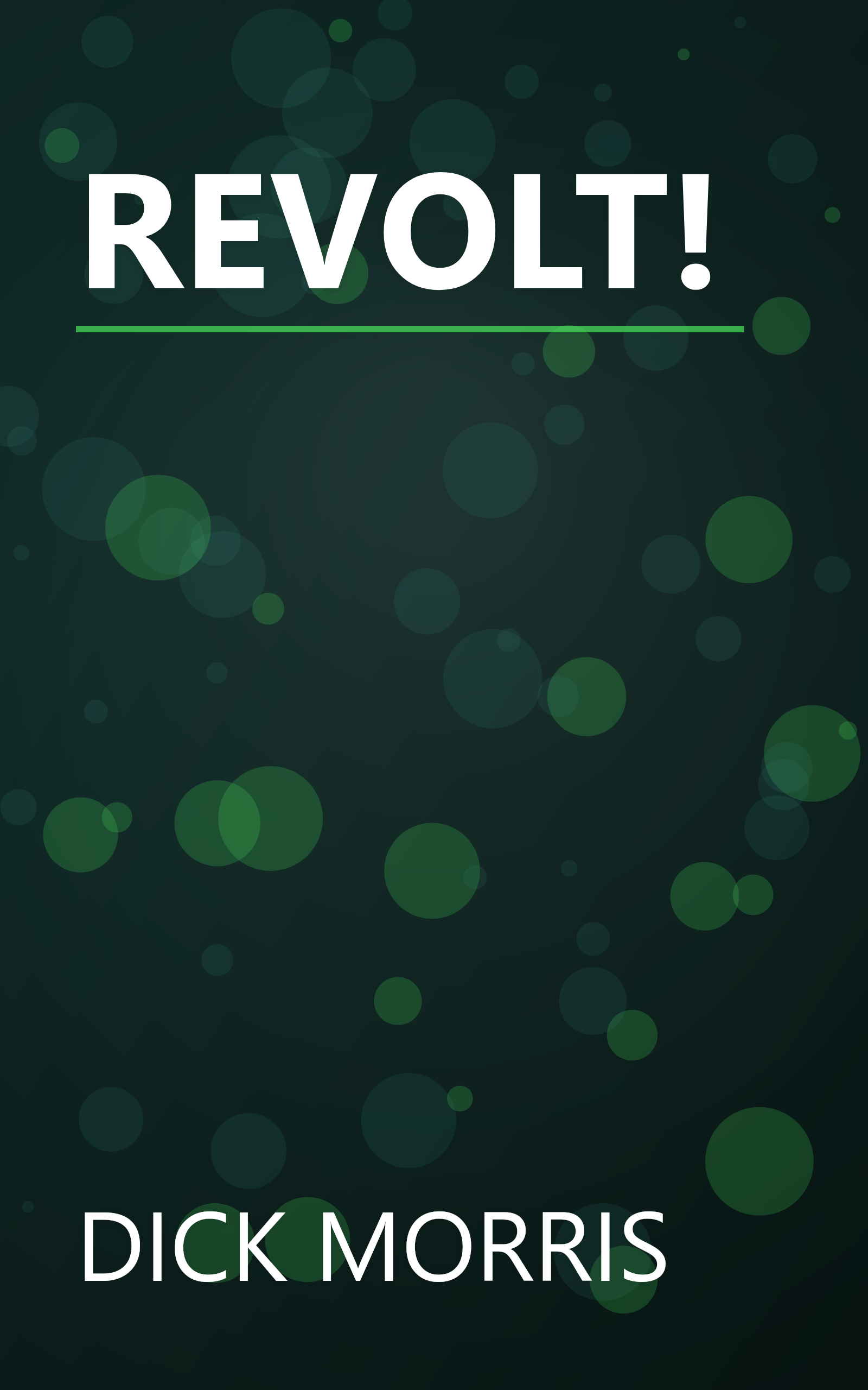 REVOLT! book cover