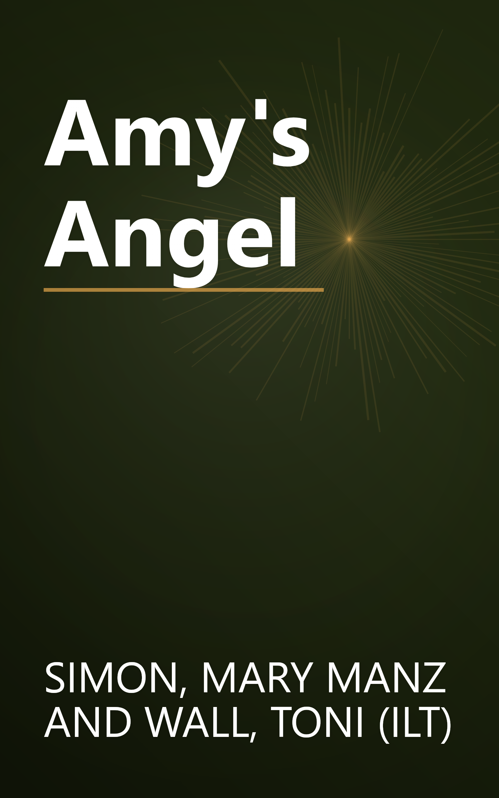 Amy's Angel book cover
