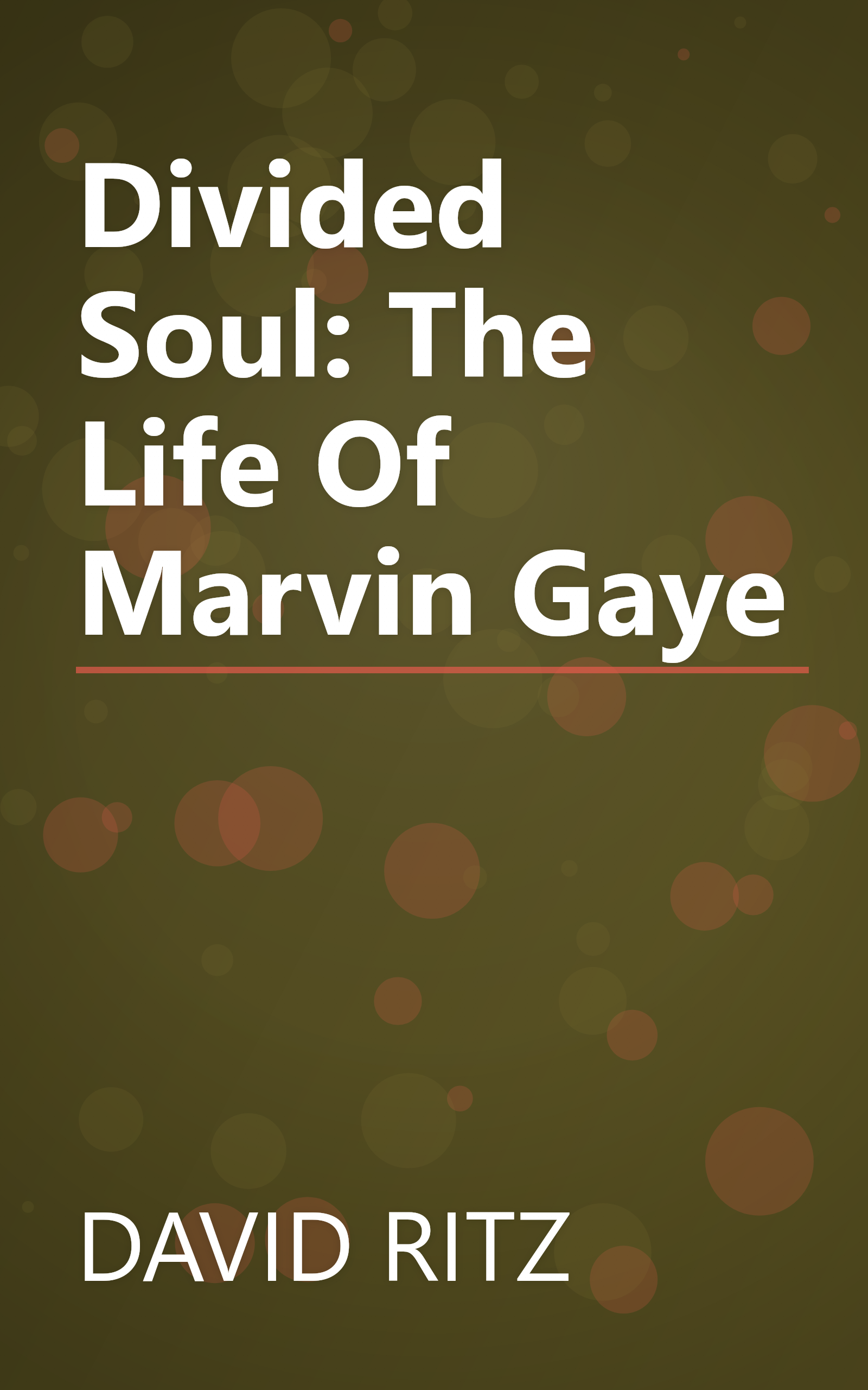 Divided Soul: The Life Of Marvin Gaye book cover