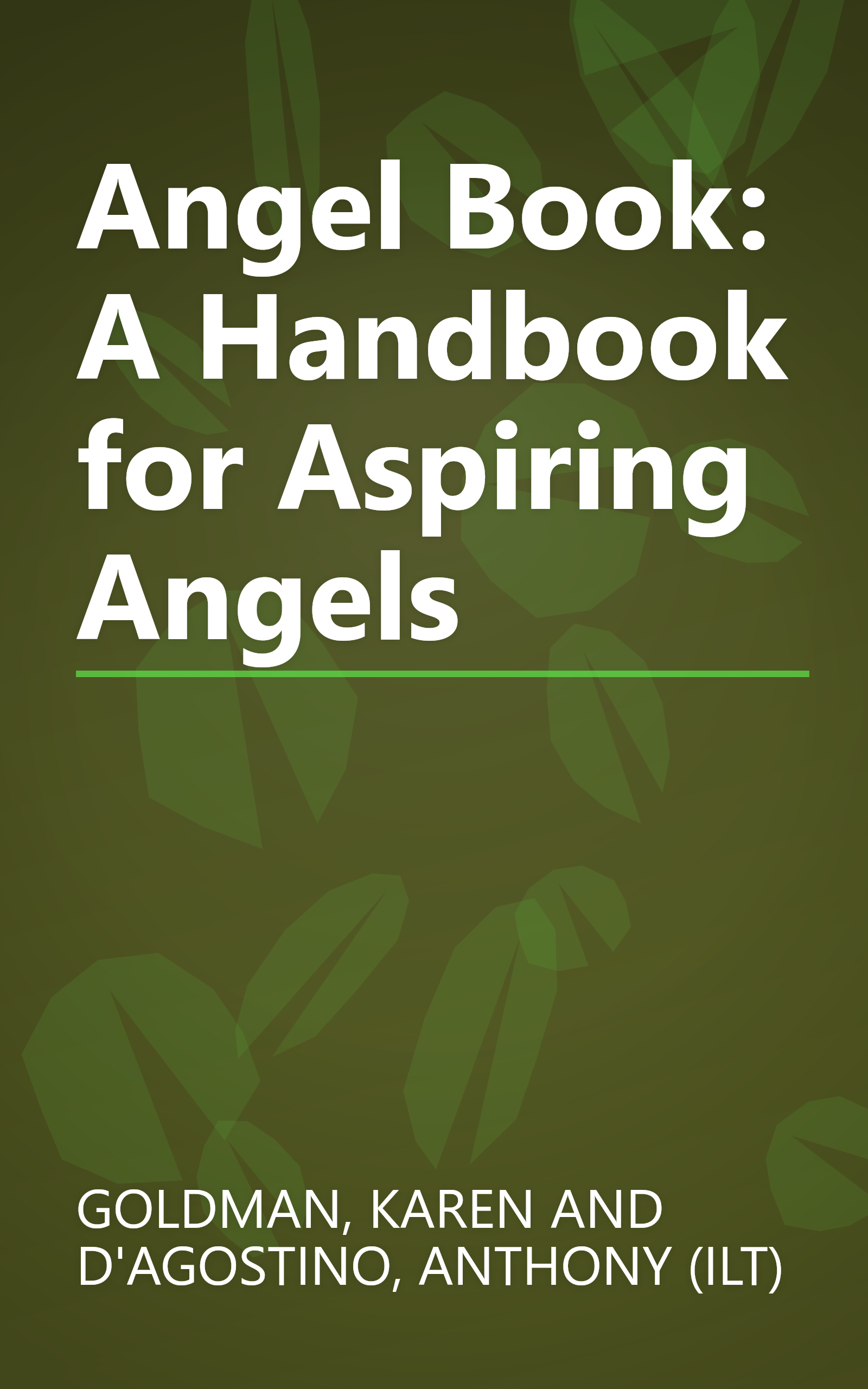 Angel Book: A Handbook for Aspiring Angels book cover