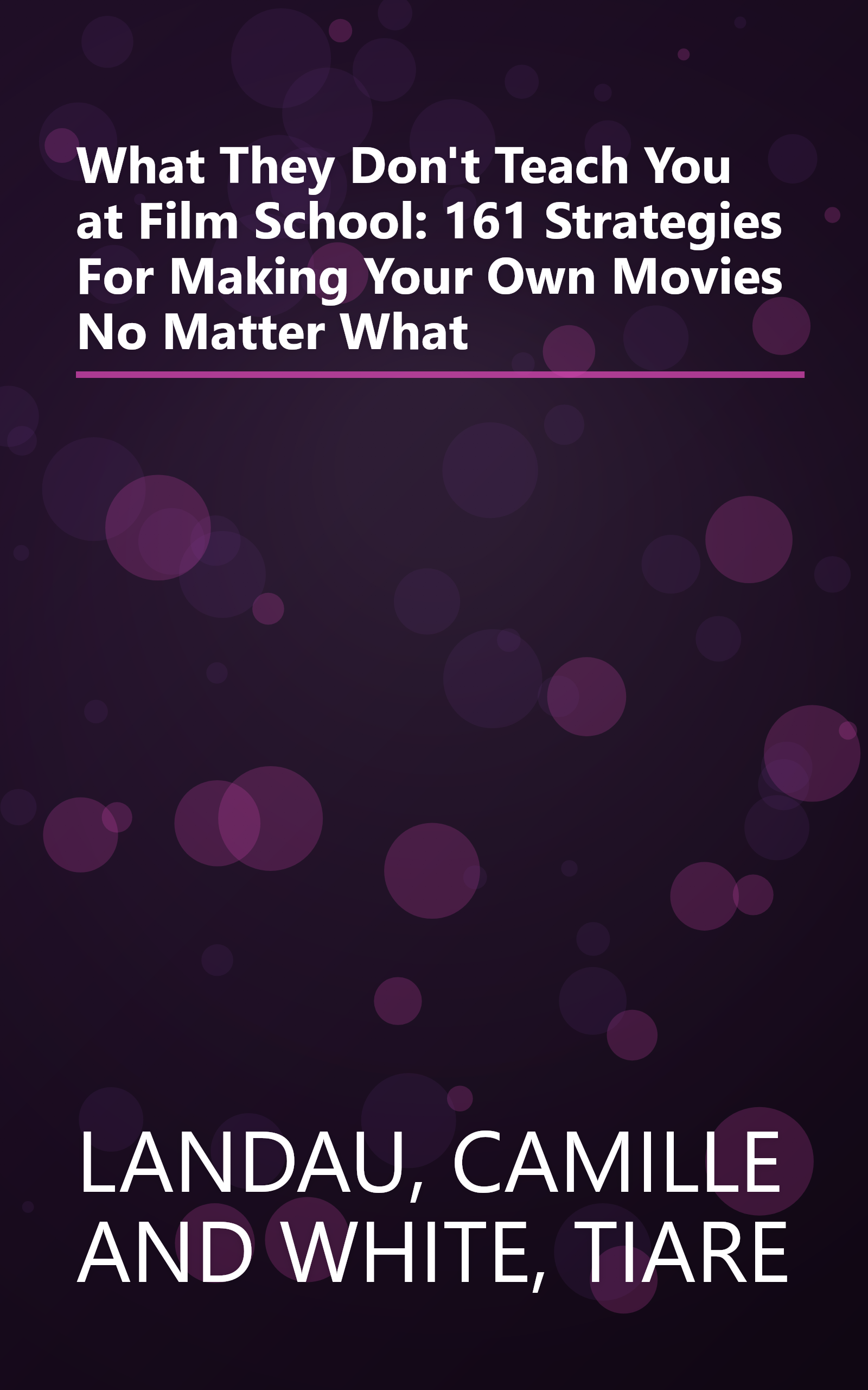 What They Don't Teach You at Film School: 161 Strategies For Making Your Own Movies No Matter What book cover