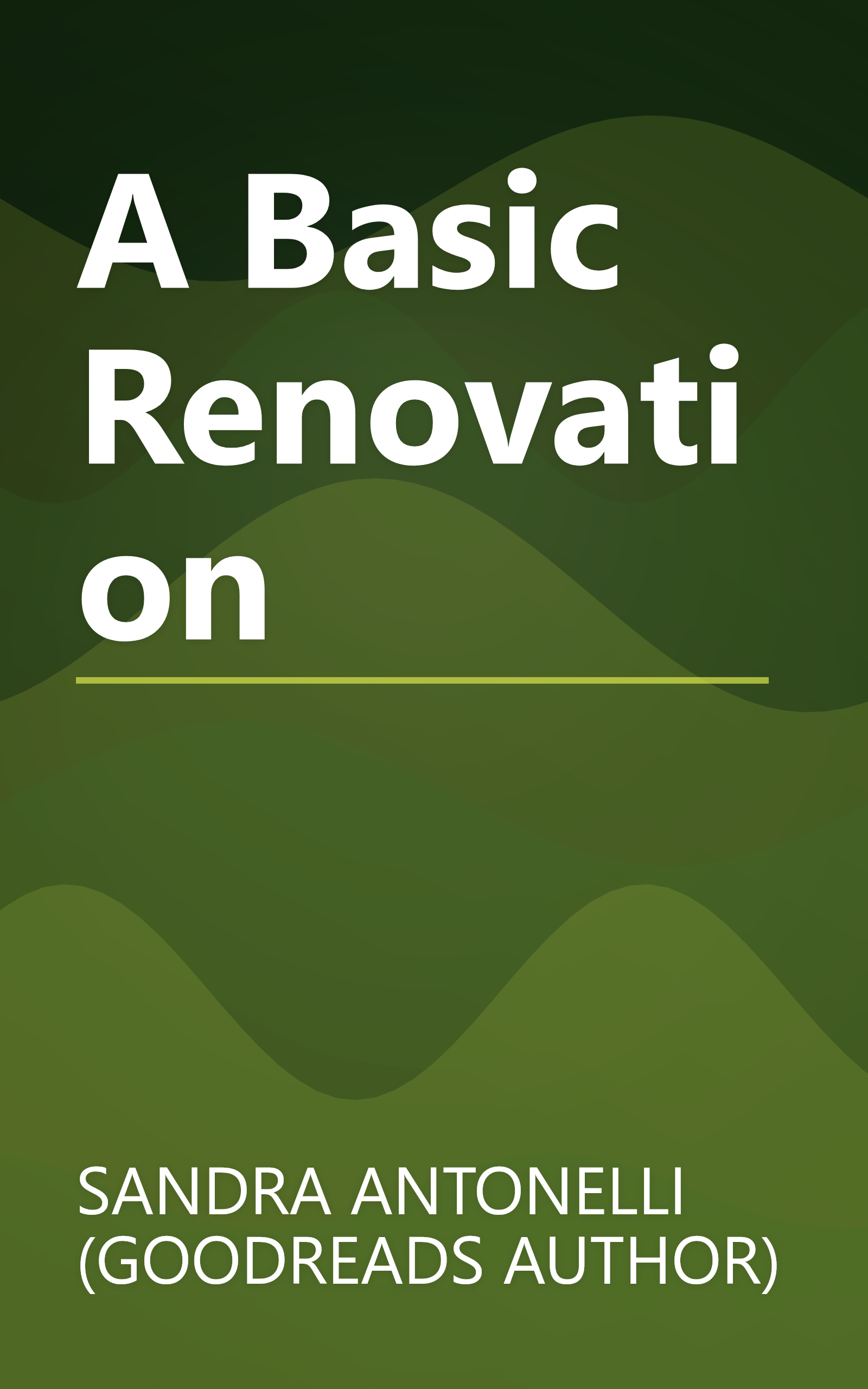 A Basic Renovation book cover