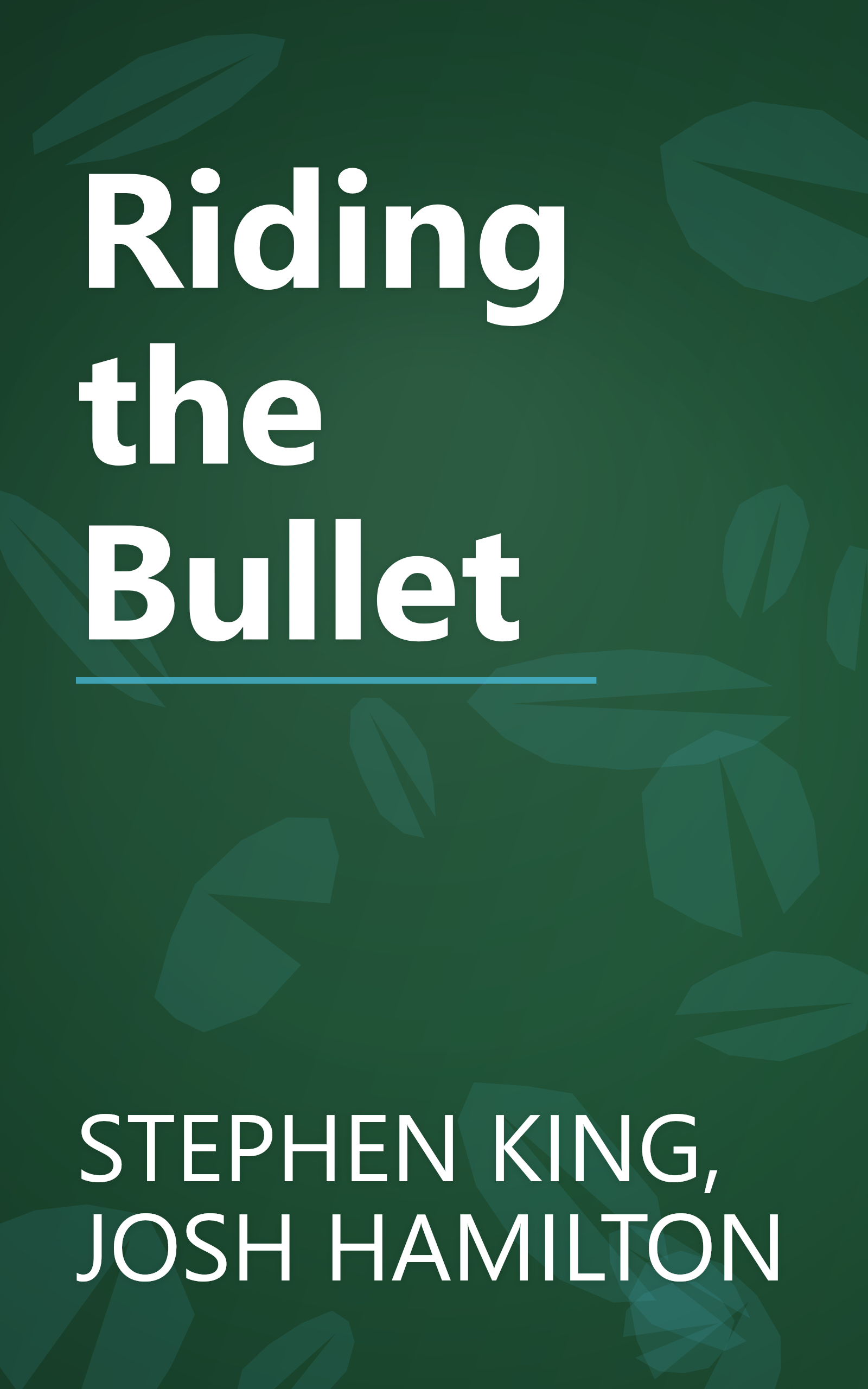 Riding the Bullet book cover