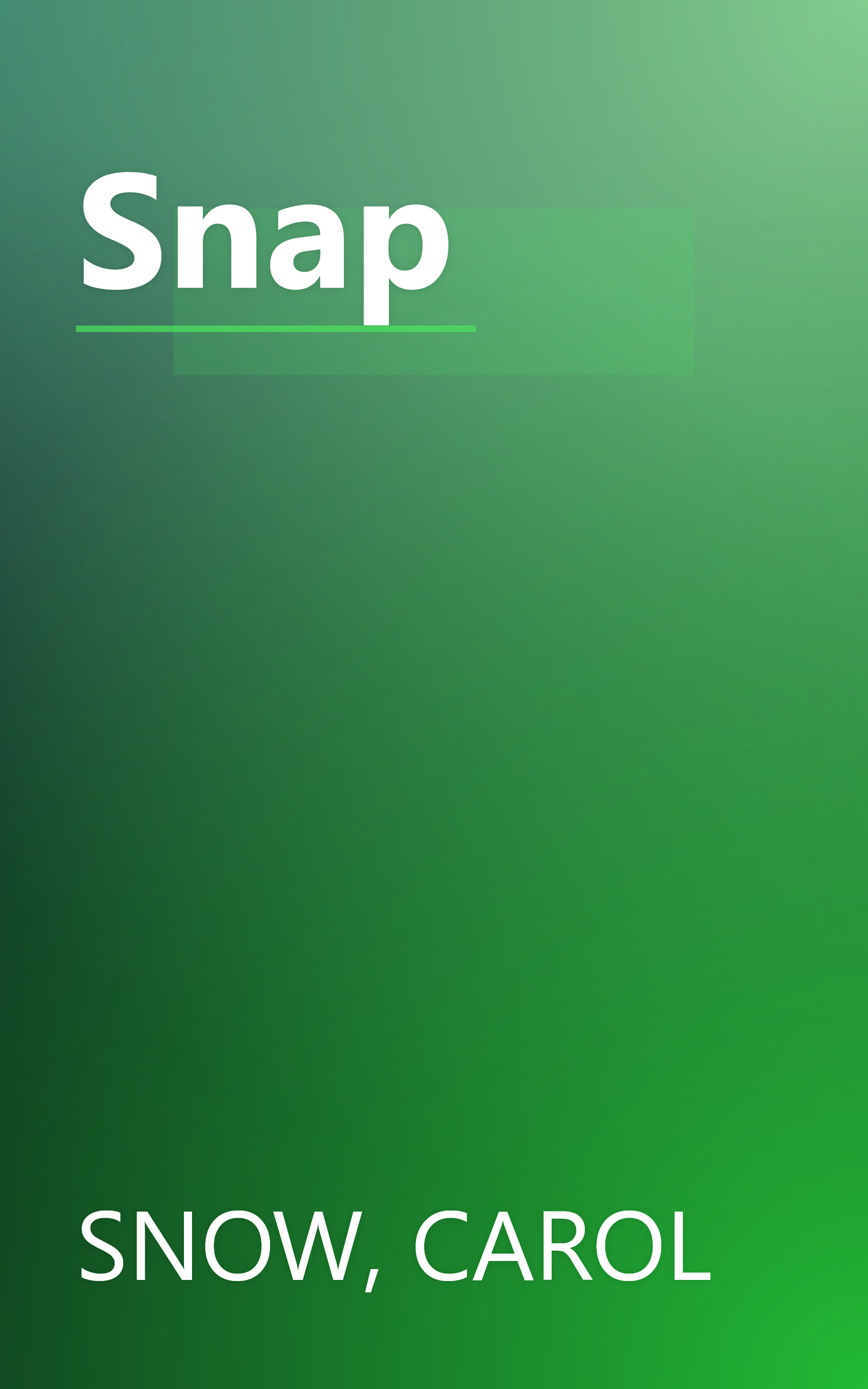 Snap book cover