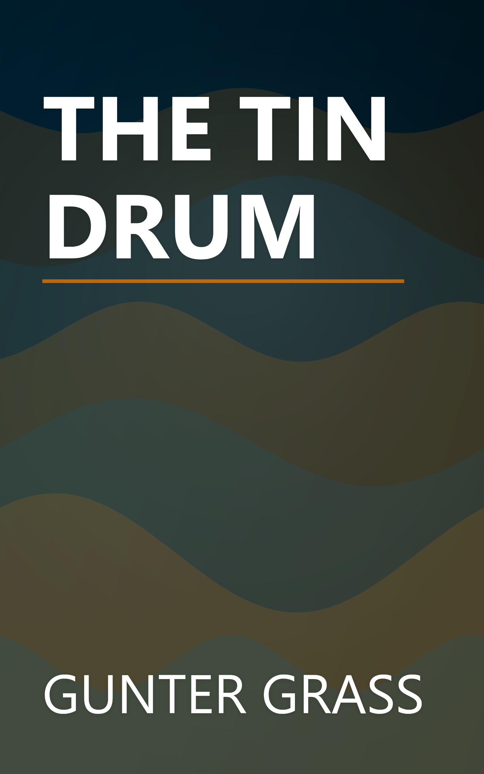THE TIN DRUM book cover