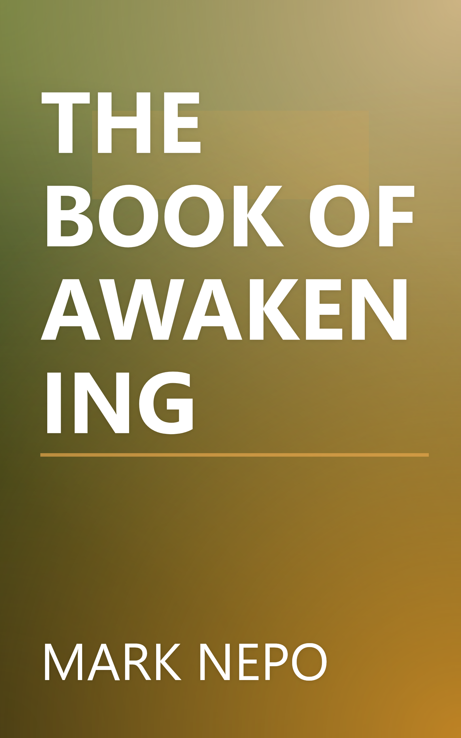 THE BOOK OF AWAKENING book cover