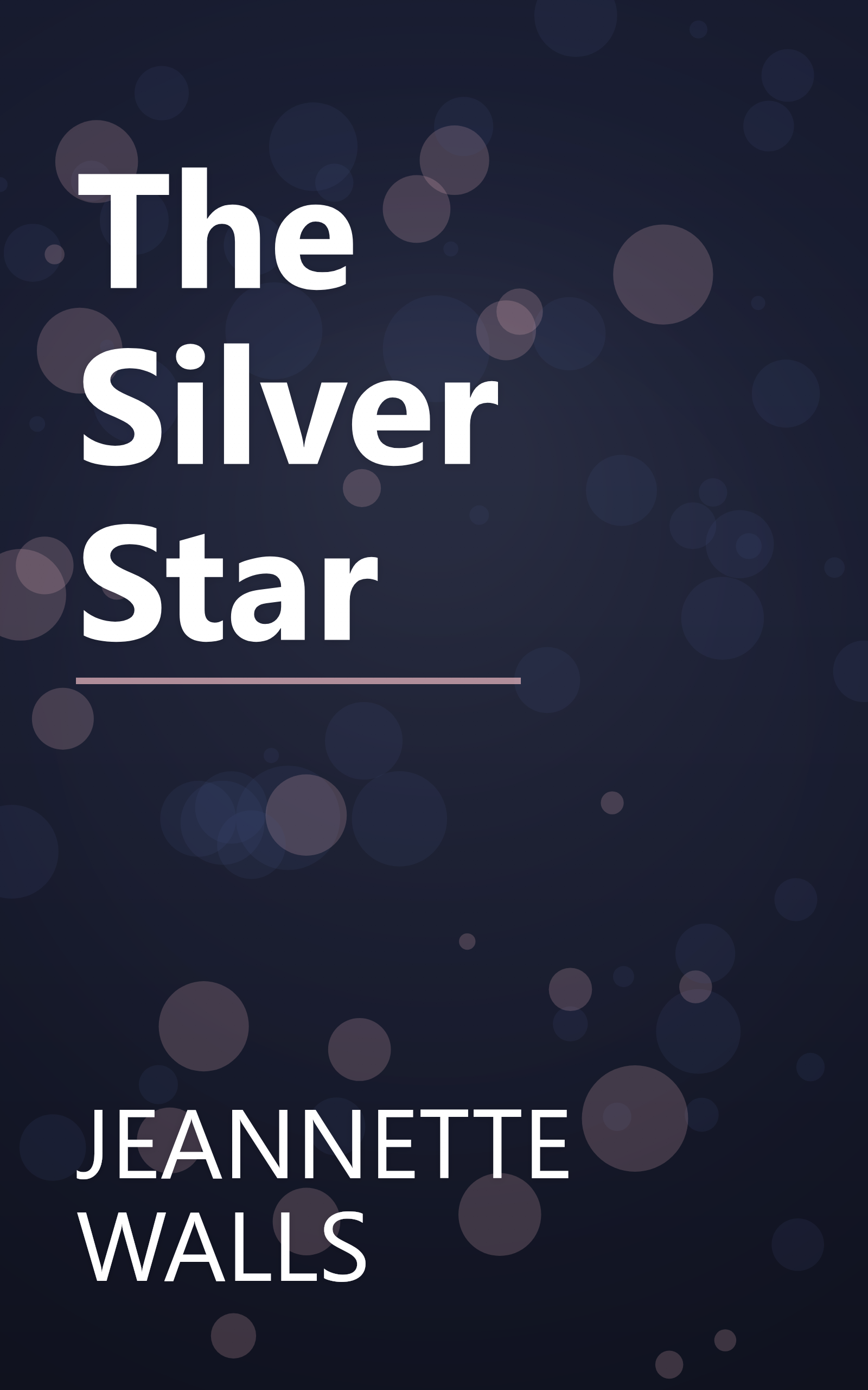 The Silver Star book cover