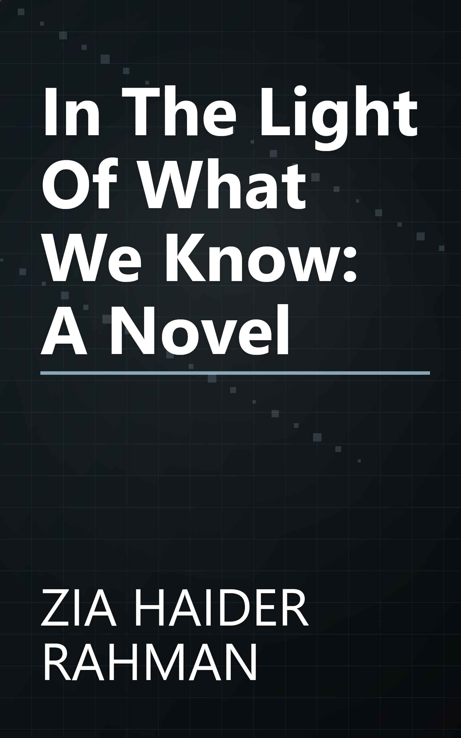 In The Light Of What We Know: A Novel book cover