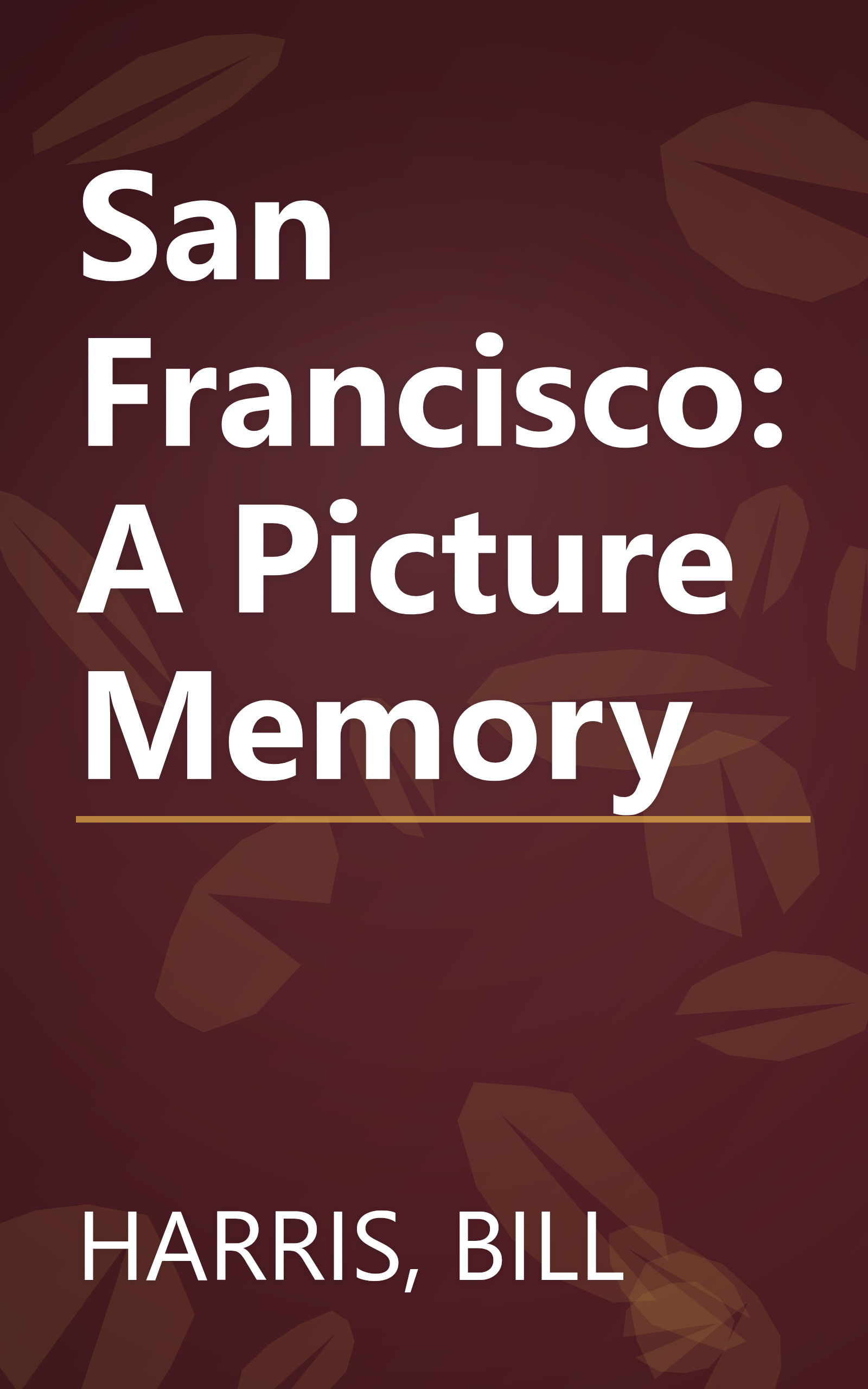 San Francisco: A Picture Memory book cover