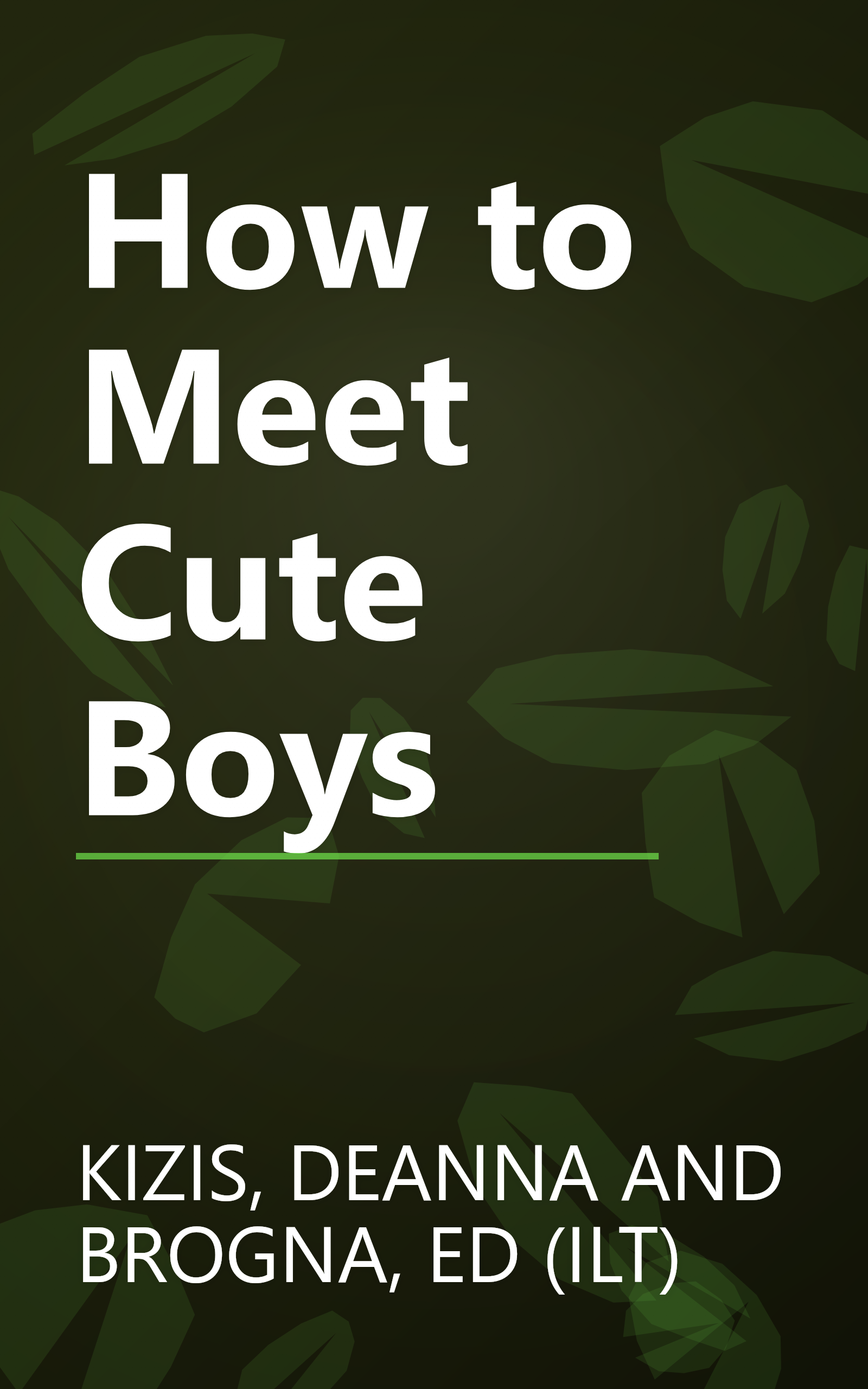 How to Meet Cute Boys book cover