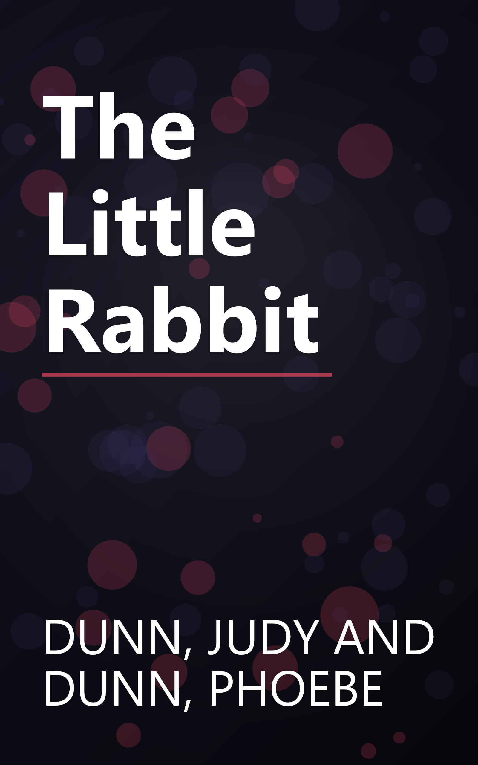 The Little Rabbit book cover